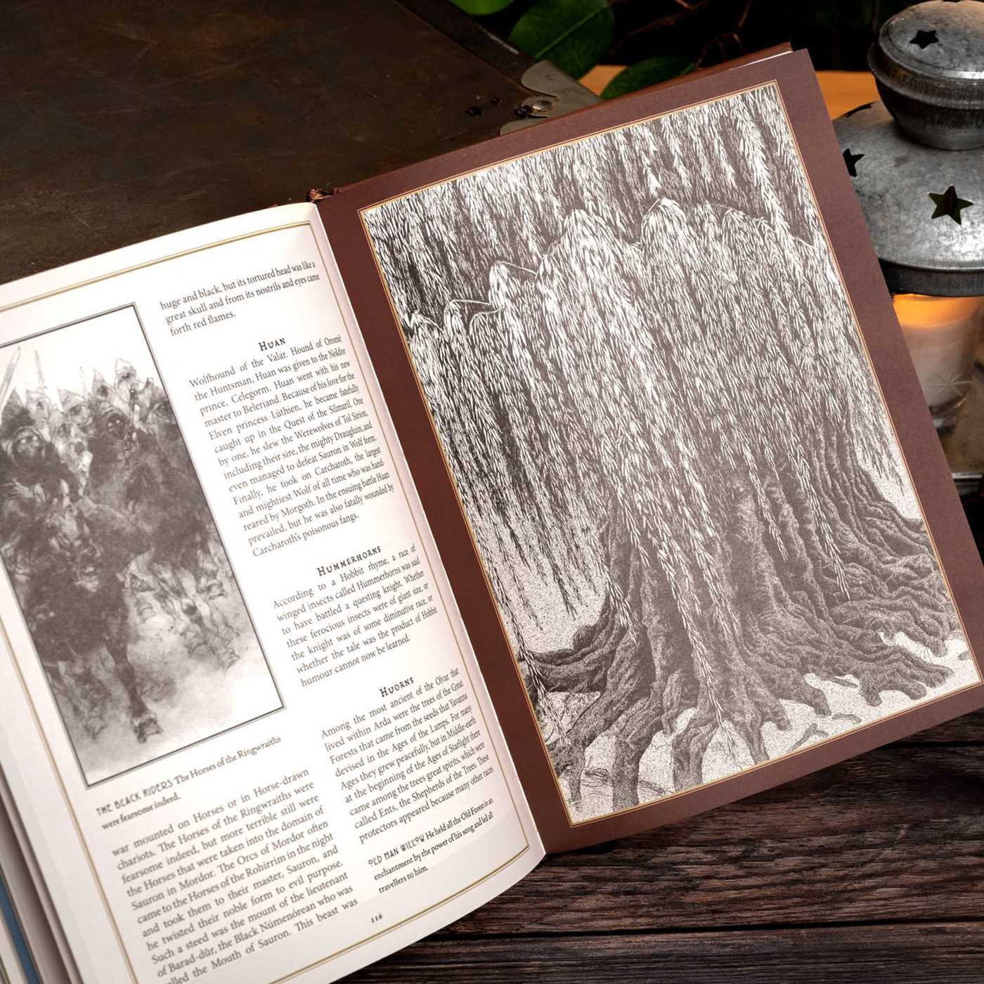 A Dictionary of Tolkien Deluxe Edition | Book by David Day | Official ...