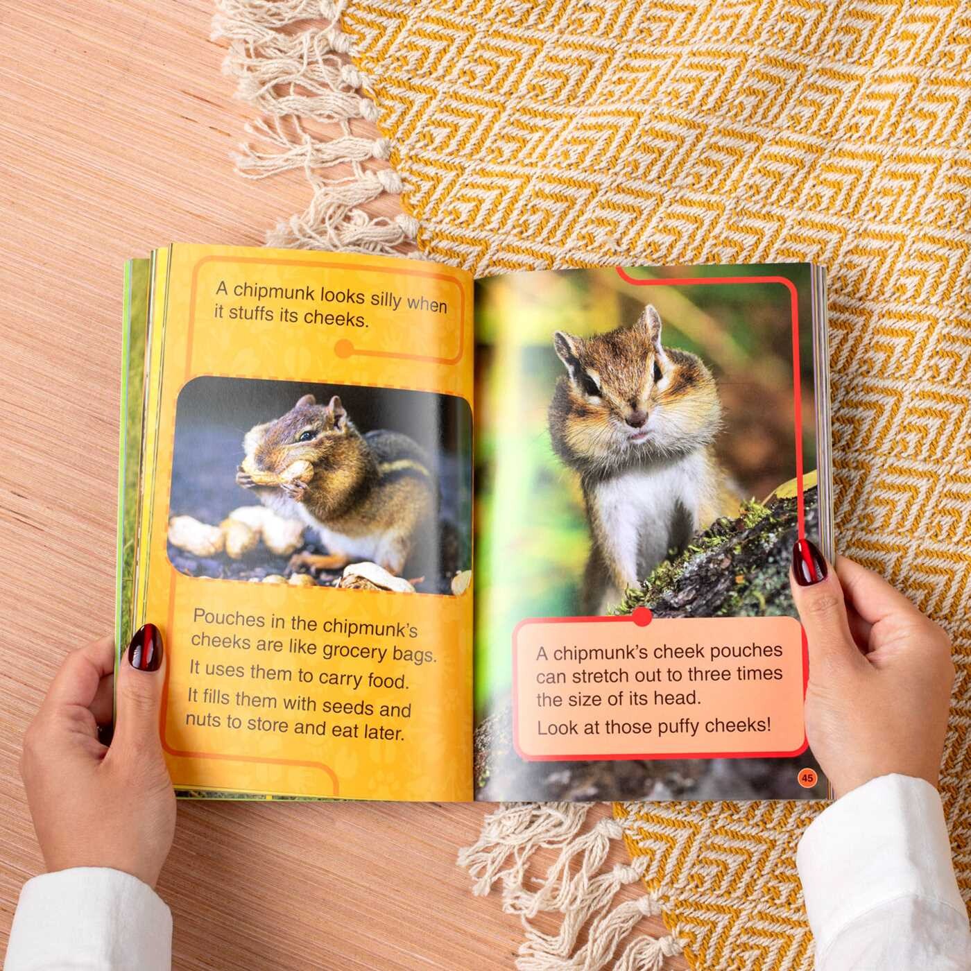 Discovery Kids All-Star Reader: Fluffy, Puffy Animals! Level 1 | Book ...