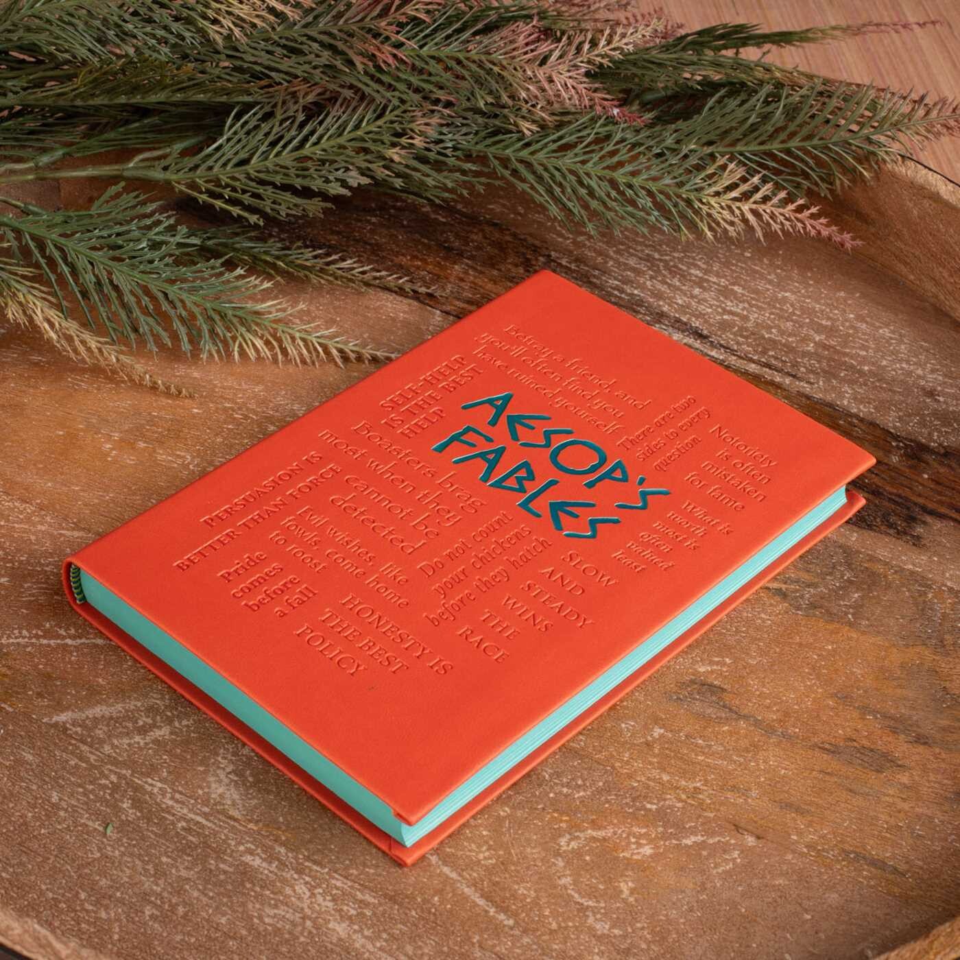 Aesop's Fables | Book by Aesop, Arthur Rackham | Official Publisher ...