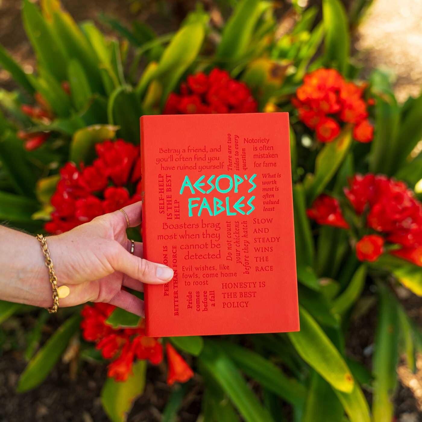 Aesop's Fables | Book by Aesop, Arthur Rackham | Official Publisher ...