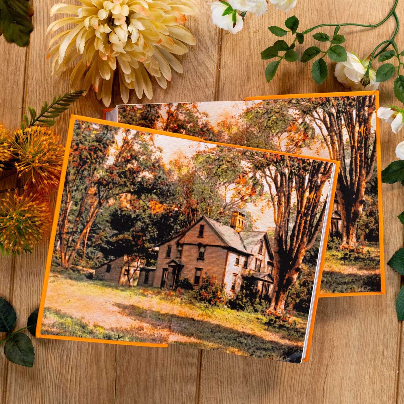 Little Women | Book by Louisa May Alcott | Official Publisher Page ...