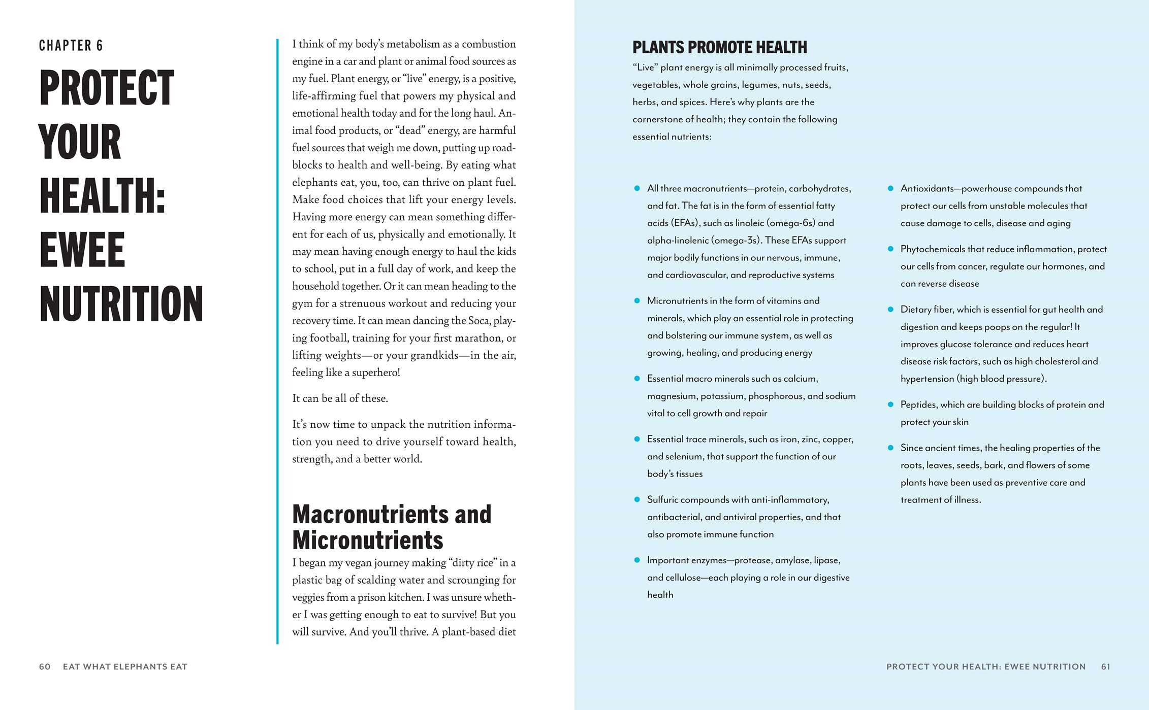 Eat What Elephants Eat | Book by Dominick Thompson | Official Publisher Page | Simon & Schuster