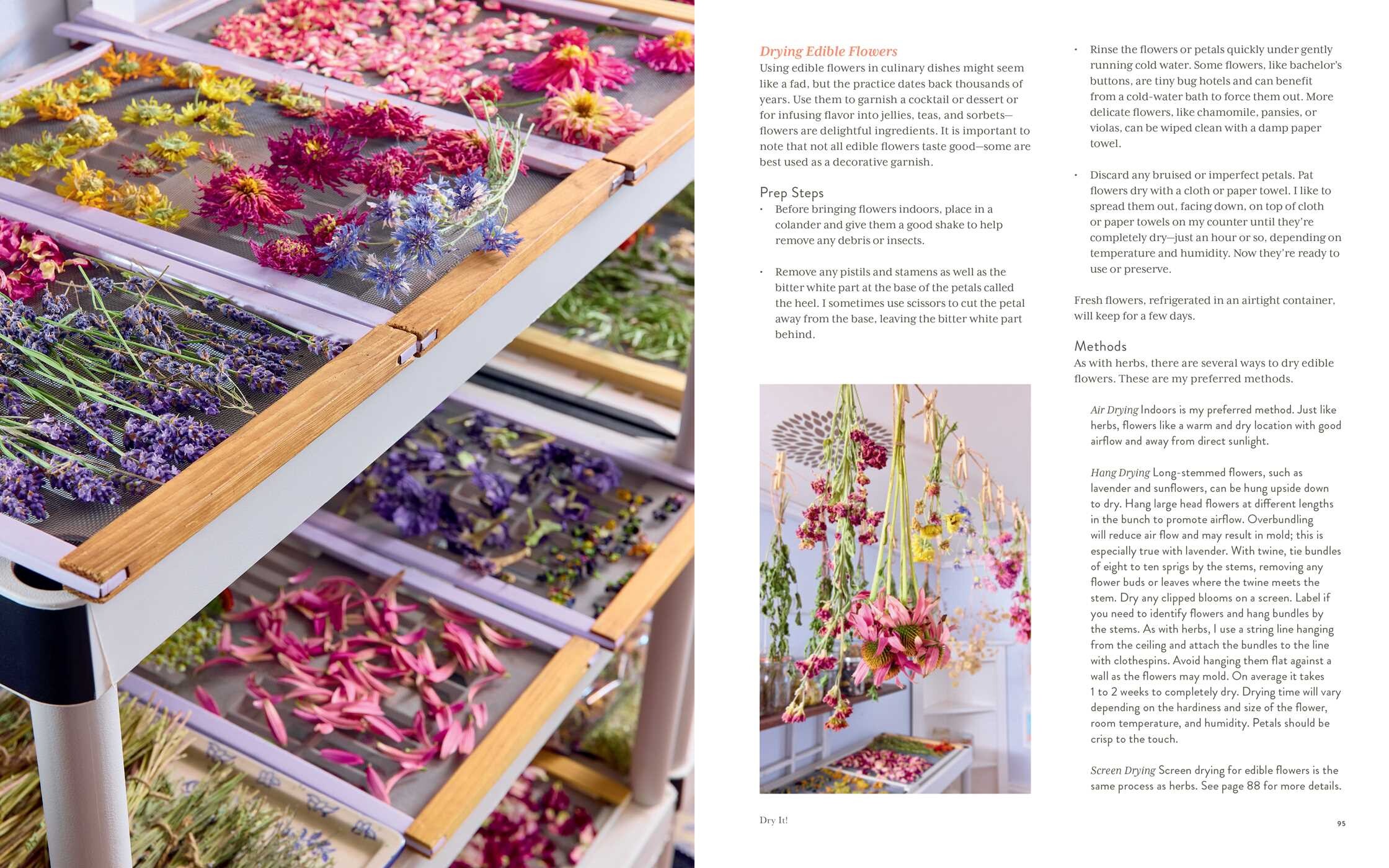 Preserving the Seasons | Book by Holly Capelle | Official Publisher ...