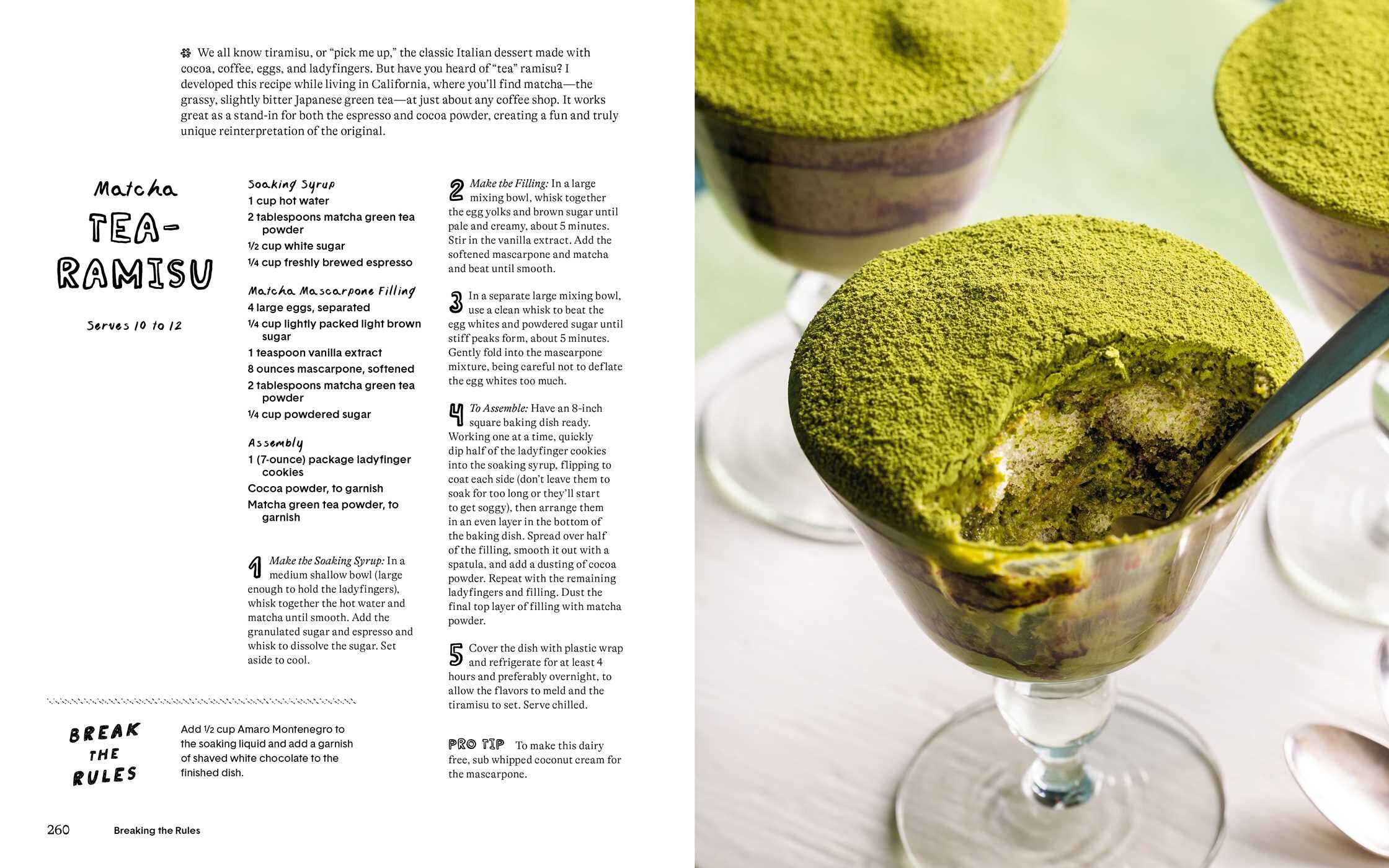 Breaking the Rules | Book by Joe Sasto, Thea Baumann | Official ...