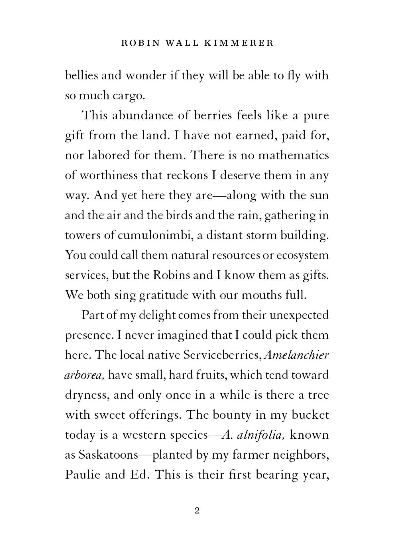 The Serviceberry | Book by Robin Wall Kimmerer, John Burgoyne ...