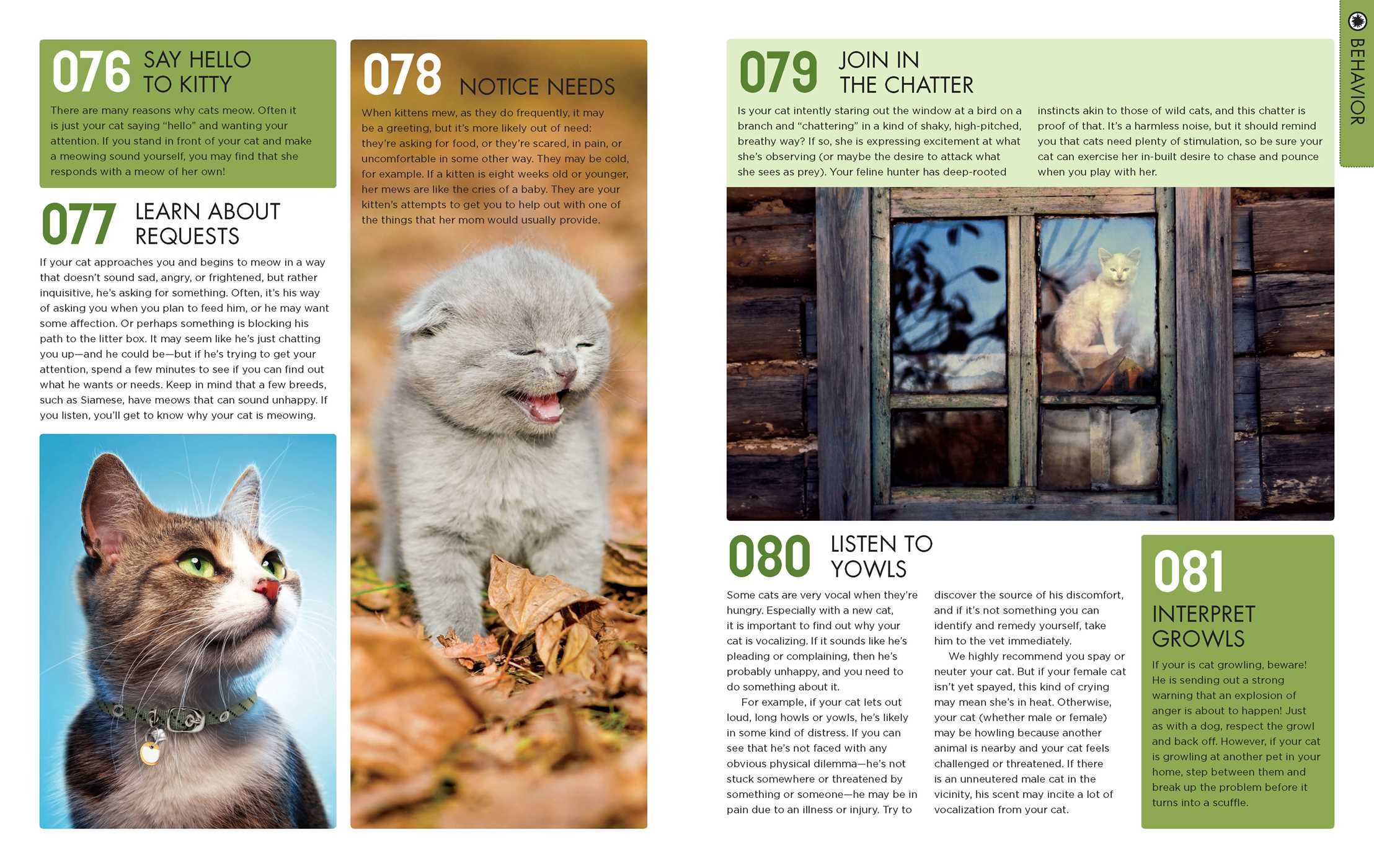 The Total Cat Manual | Book by David Meyer, Davd Meyer, Pia Salk, Abbie ...