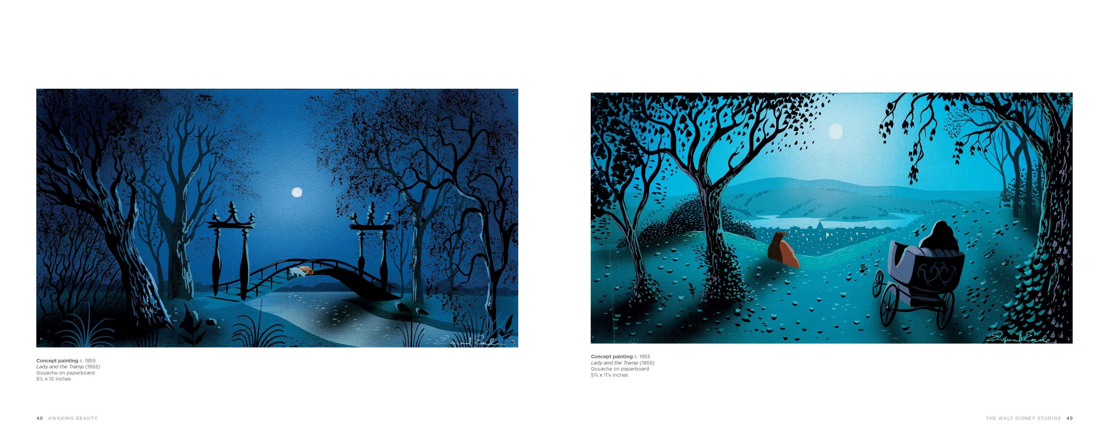 Awaking Beauty | Book by Ioan Szasz, The Walt Disney Family Museum ...