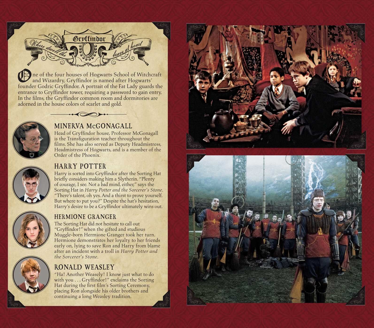 Harry Potter Gryffindor Ruled Pocket Journal Book By Insight Editions Official Publisher