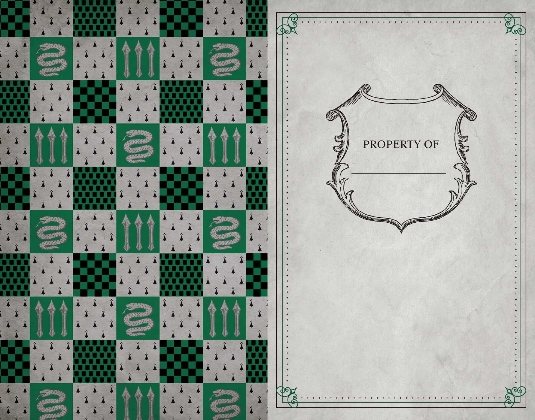 Harry Potter: Slytherin Ruled Notebook | Book by Insight Editions ...