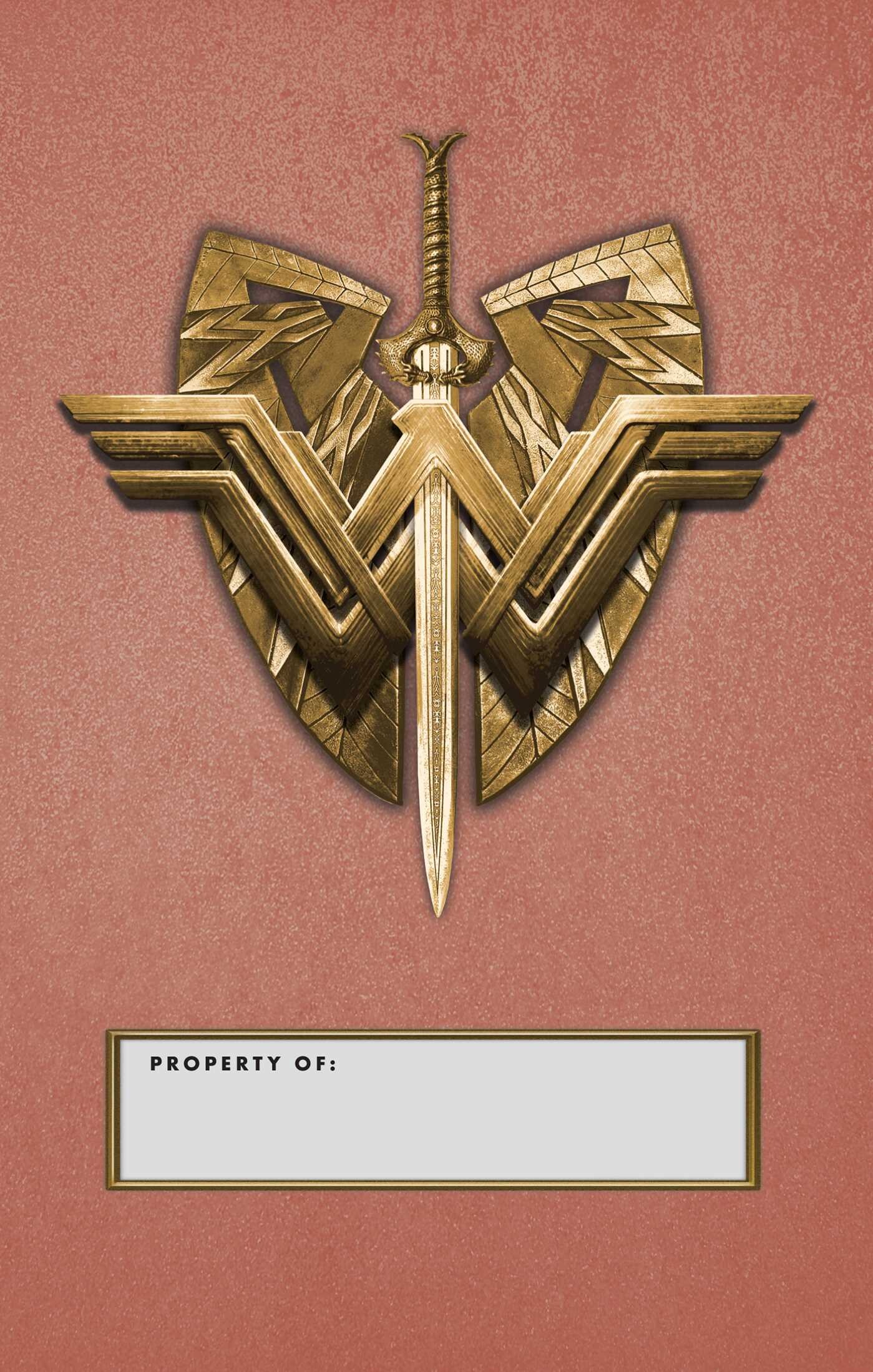 DC Comics: Wonder Woman Hardcover Ruled Journal | Book by Insight ...