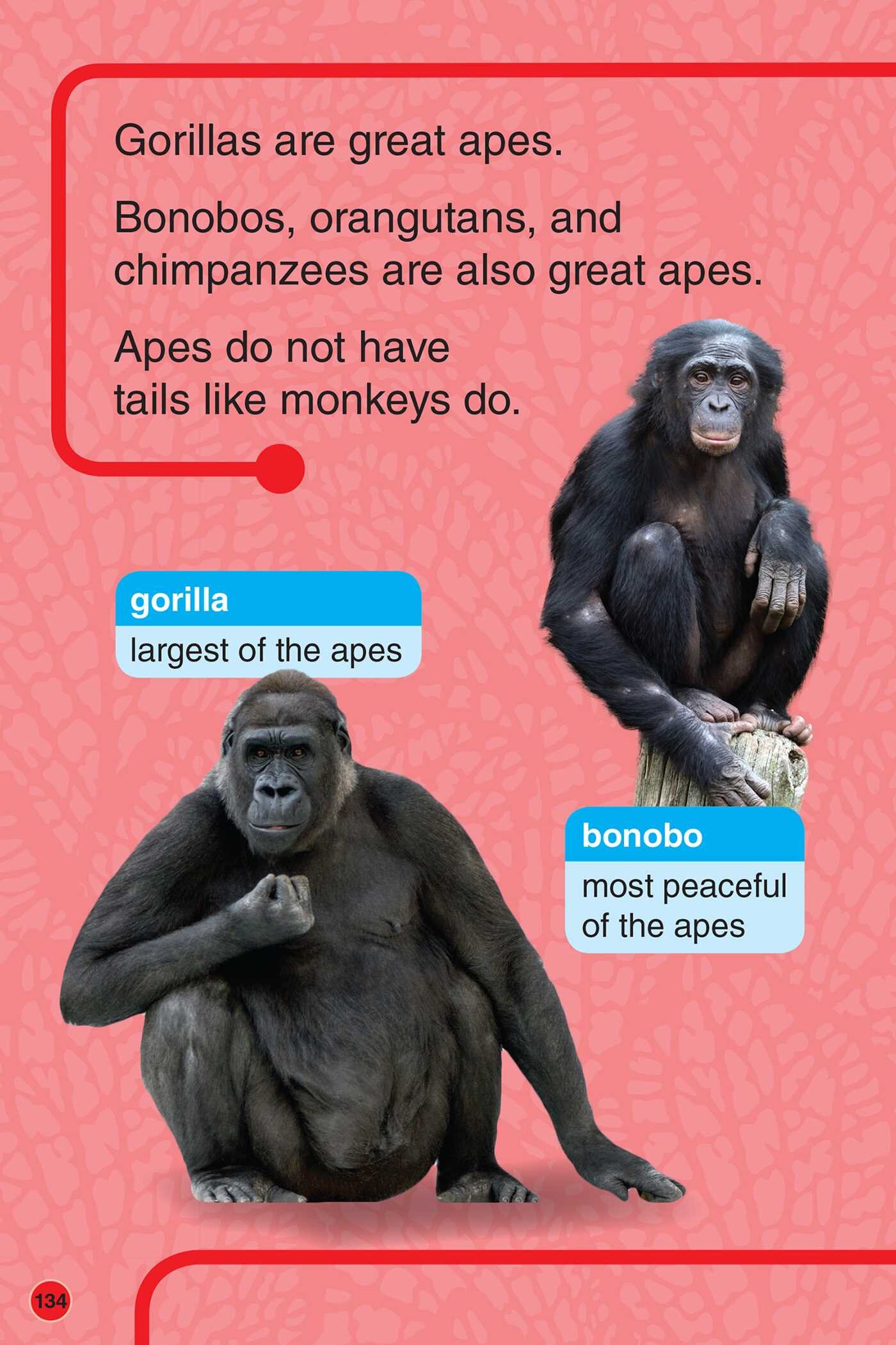 Discovery All-Star Readers: I Am a Gorilla Level 2 | Book by Lori C ...