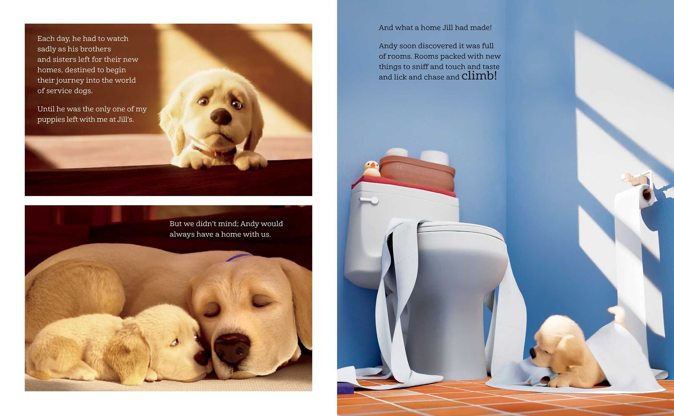 Andy | Book by John Kelly, Canine Companions, Ignite Animation Studios ...