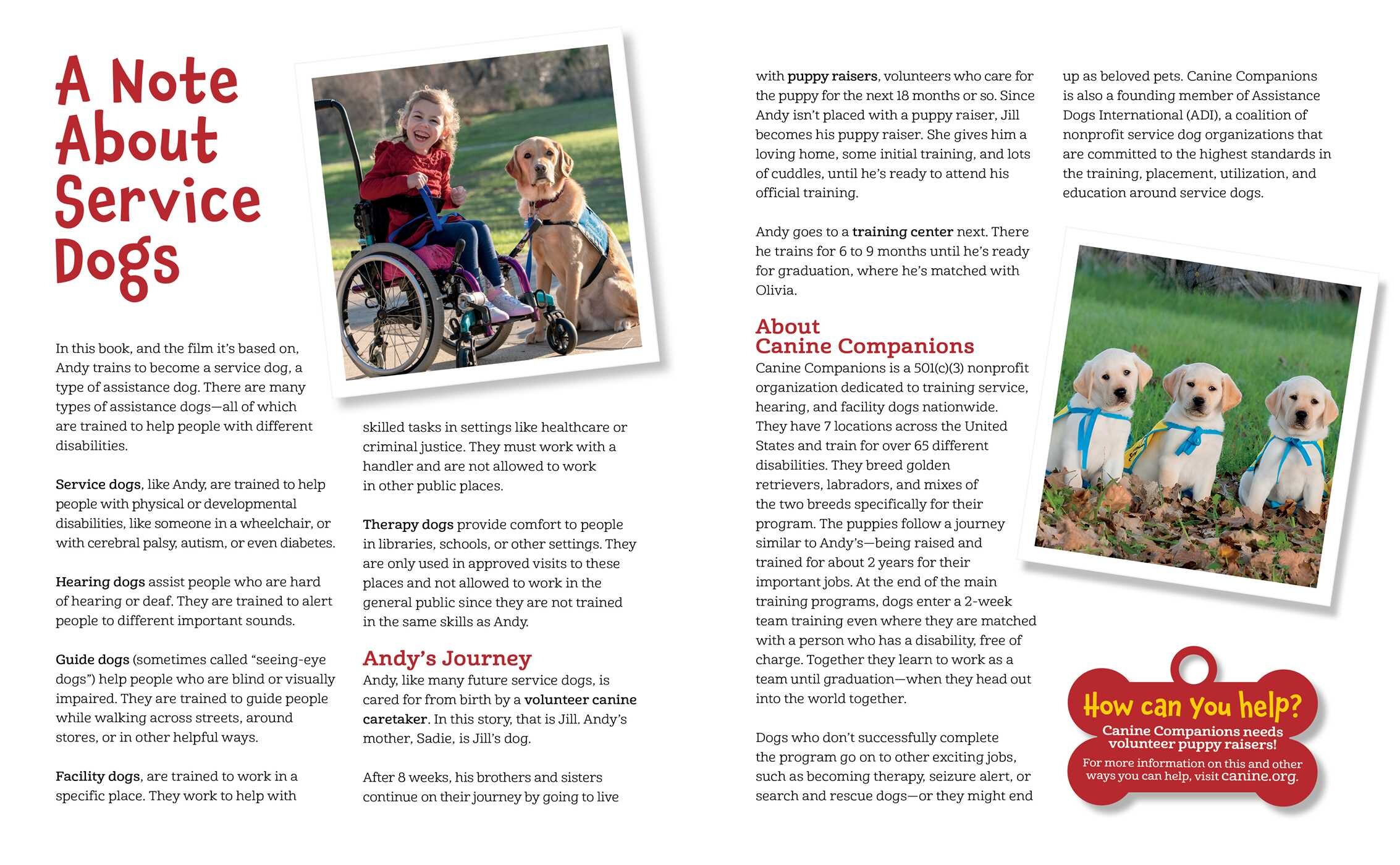 Andy | Book by John Kelly, Canine Companions, Ignite Animation Studios ...
