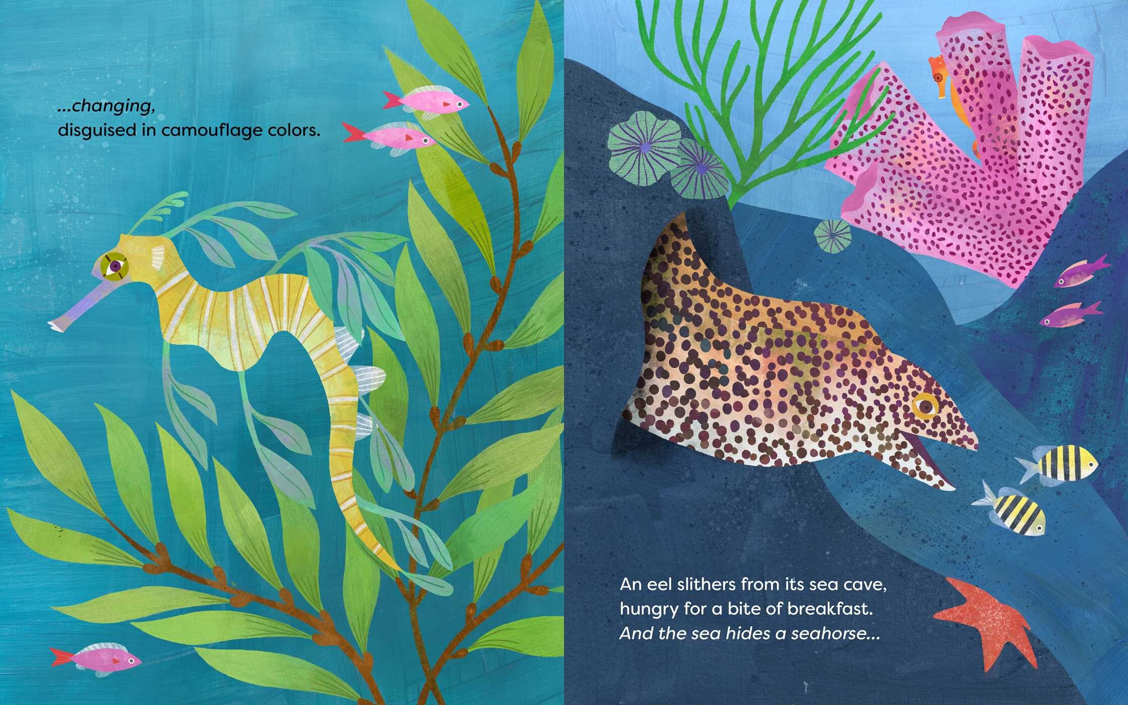The Sea Hides a Seahorse | Book by Sara T. Behrman, Melanie Mikecz ...