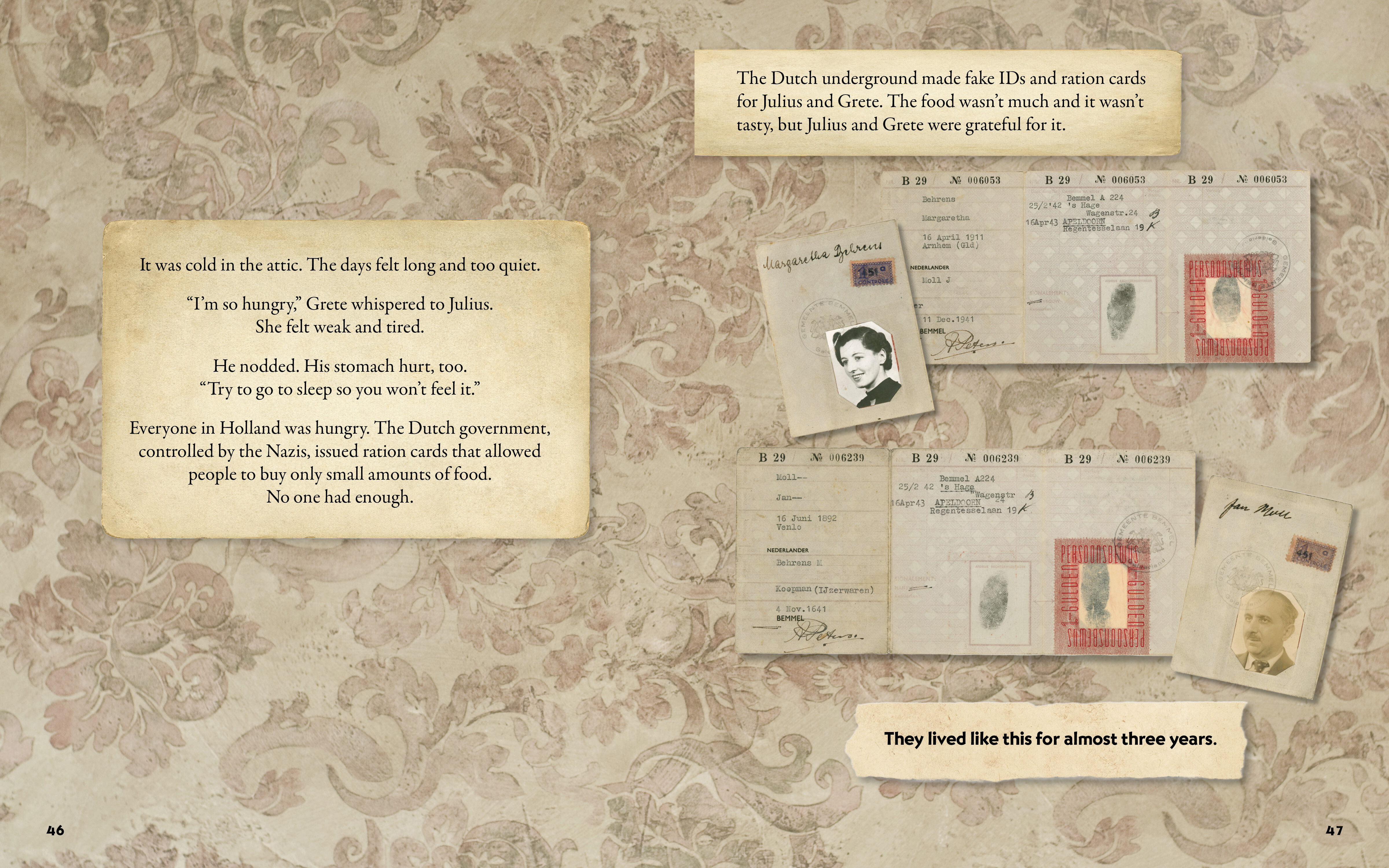 A Time to Hide | Book by Marion Seidemann Fredman, Elisa Kleven, Diane ...