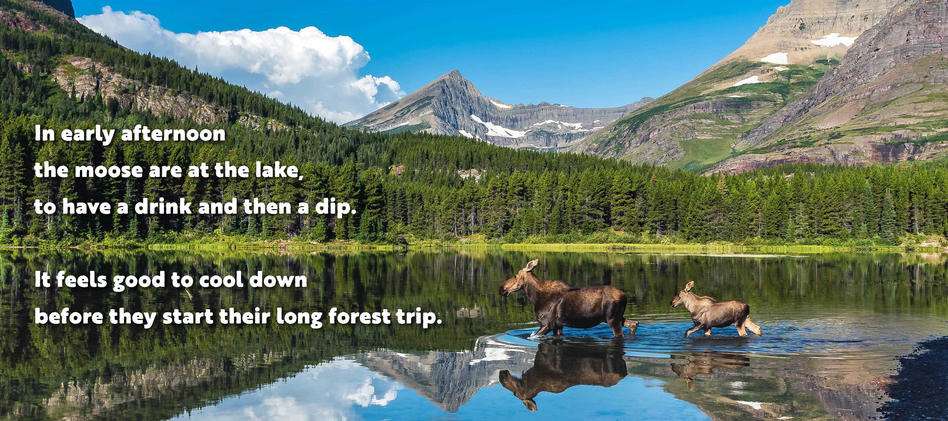 Animal Adventures: Day in the Forest | Book by Alexandra Claire ...