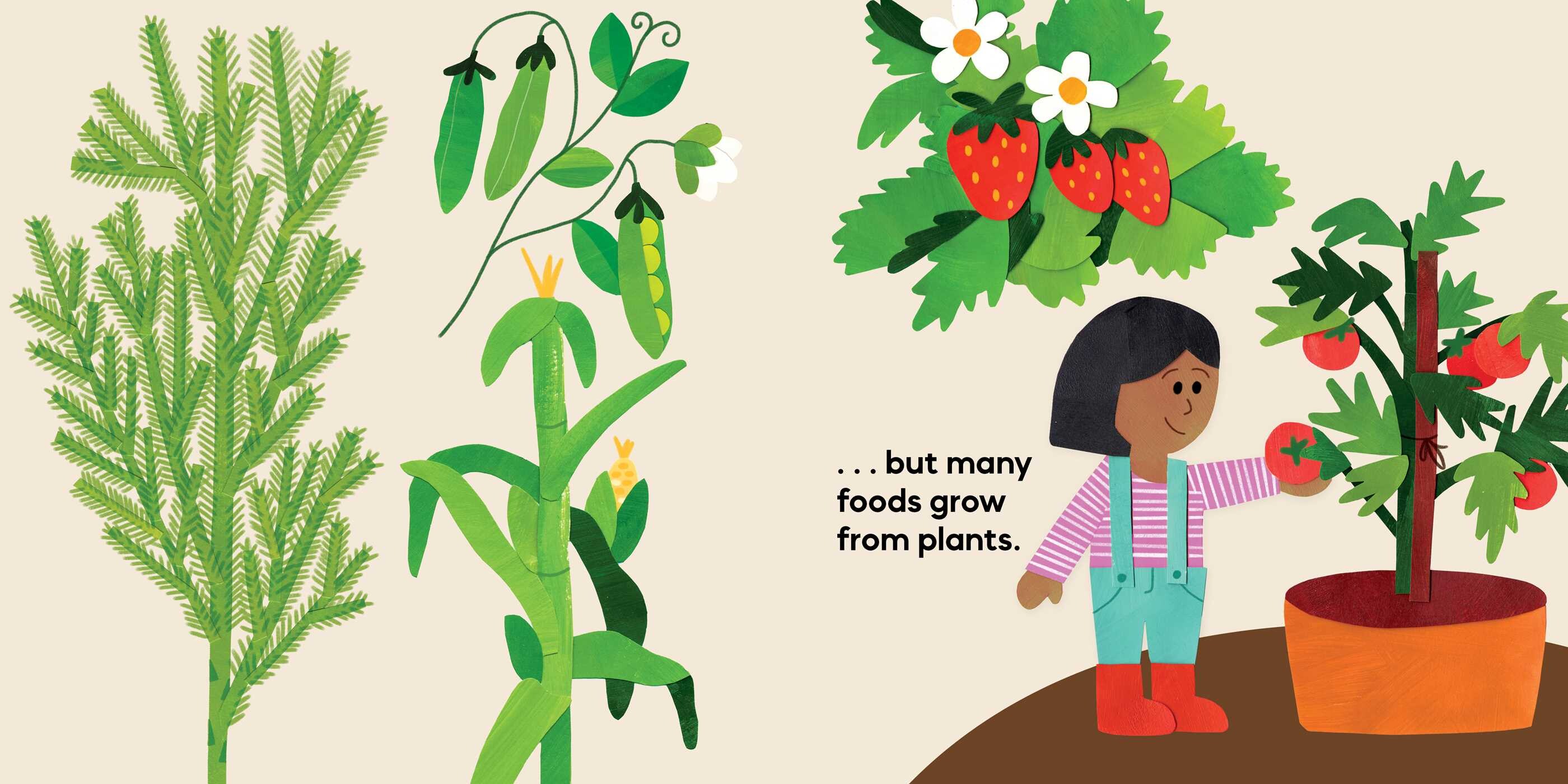 Our Food Grows | Book by Sarah M. White, Tessa Gibbs | Official ...