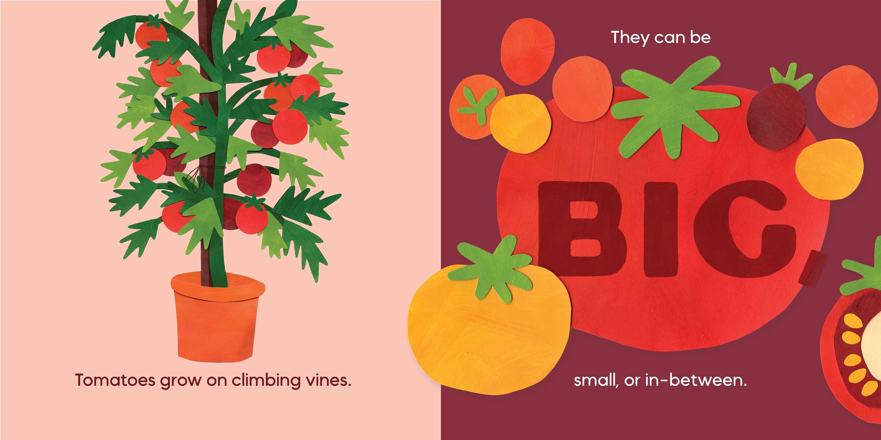 Our Food Grows | Book by Sarah M. White, Tessa Gibbs | Official ...