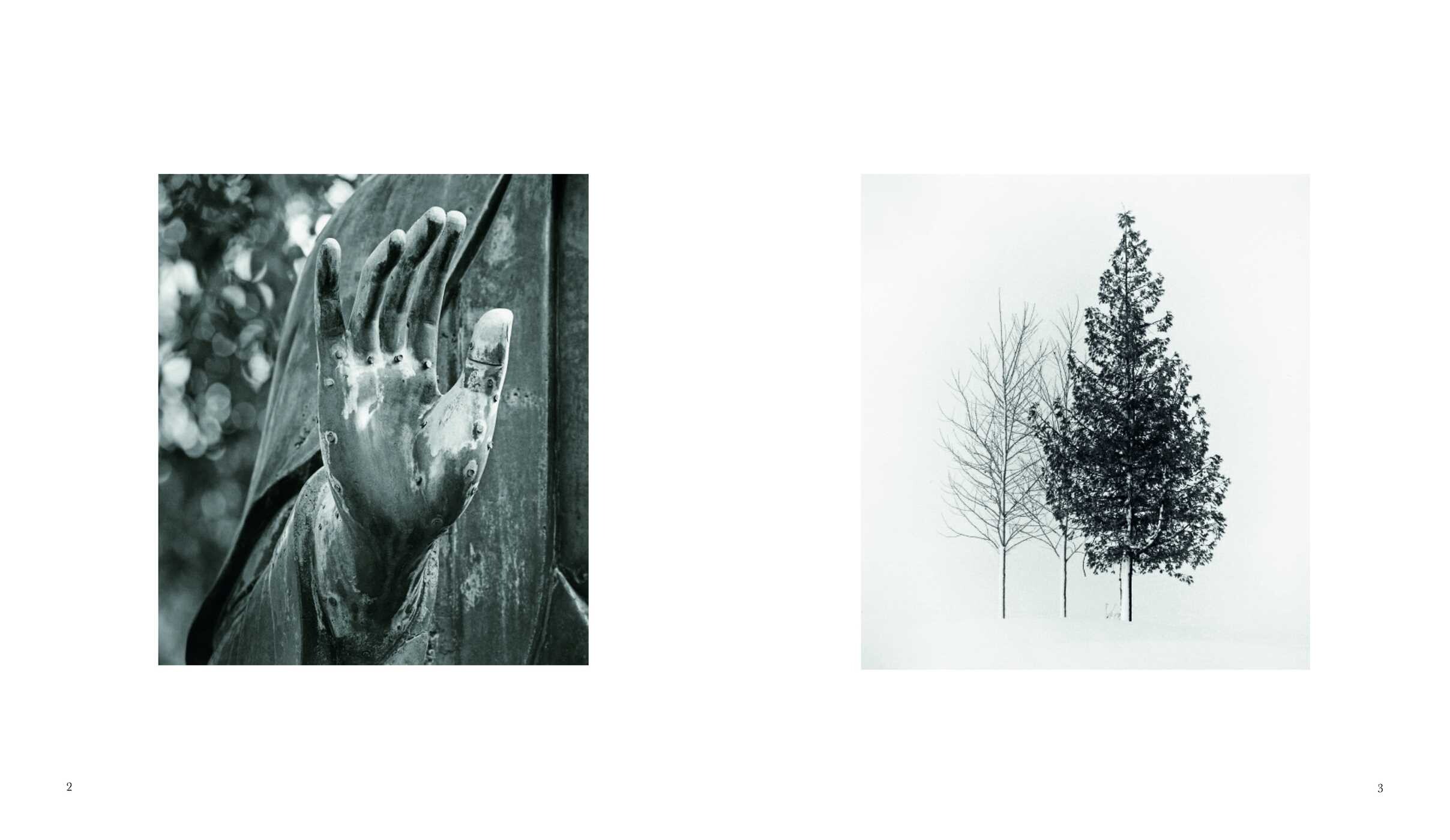 Ikigai | Book by Mari Fujimoto, Michael Kenna | Official Publisher Page ...