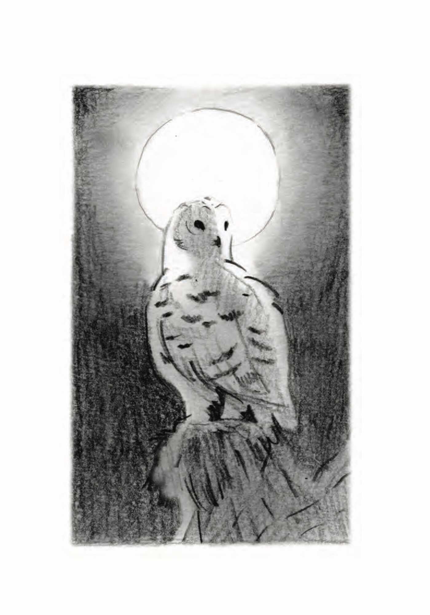 The Rise of Winter | Book by Alex Lyttle | Official Publisher Page ...