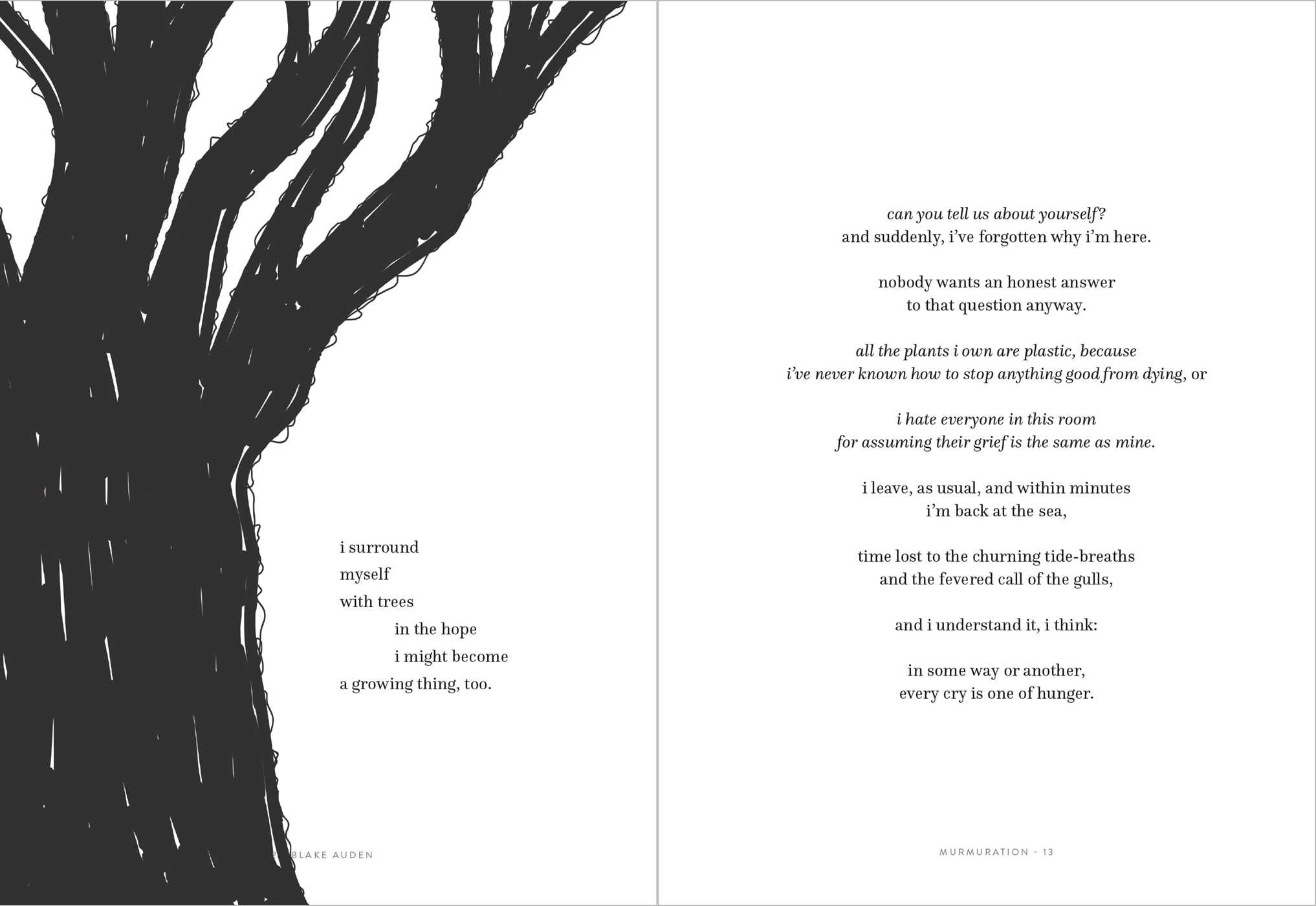 Murmuration | Book by Blake Auden | Official Publisher Page | Simon ...