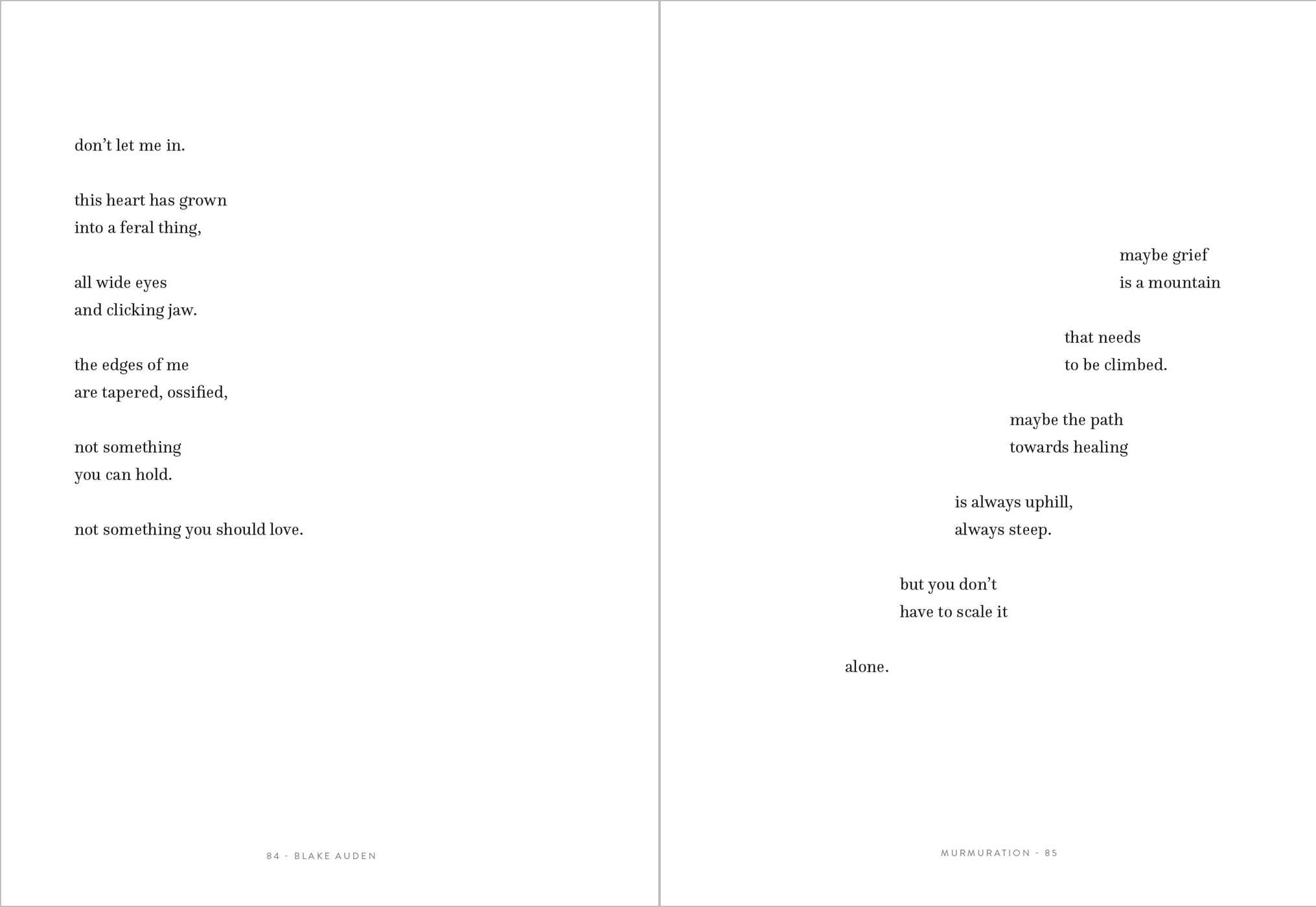 Murmuration | Book by Blake Auden | Official Publisher Page | Simon ...