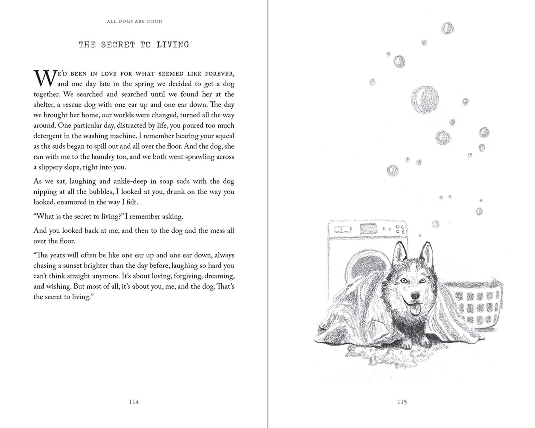 All Dogs Are Good | Book by Courtney Peppernell | Official Publisher ...