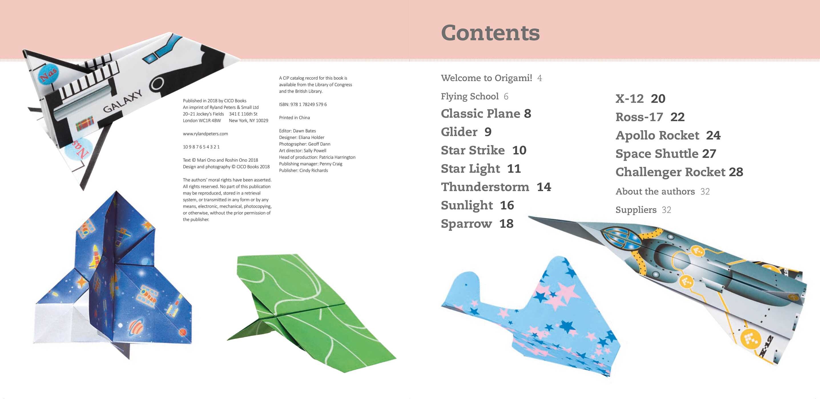 Fun Origami for Children: Flight! | Book by Mari Ono, Roshin Ono ...