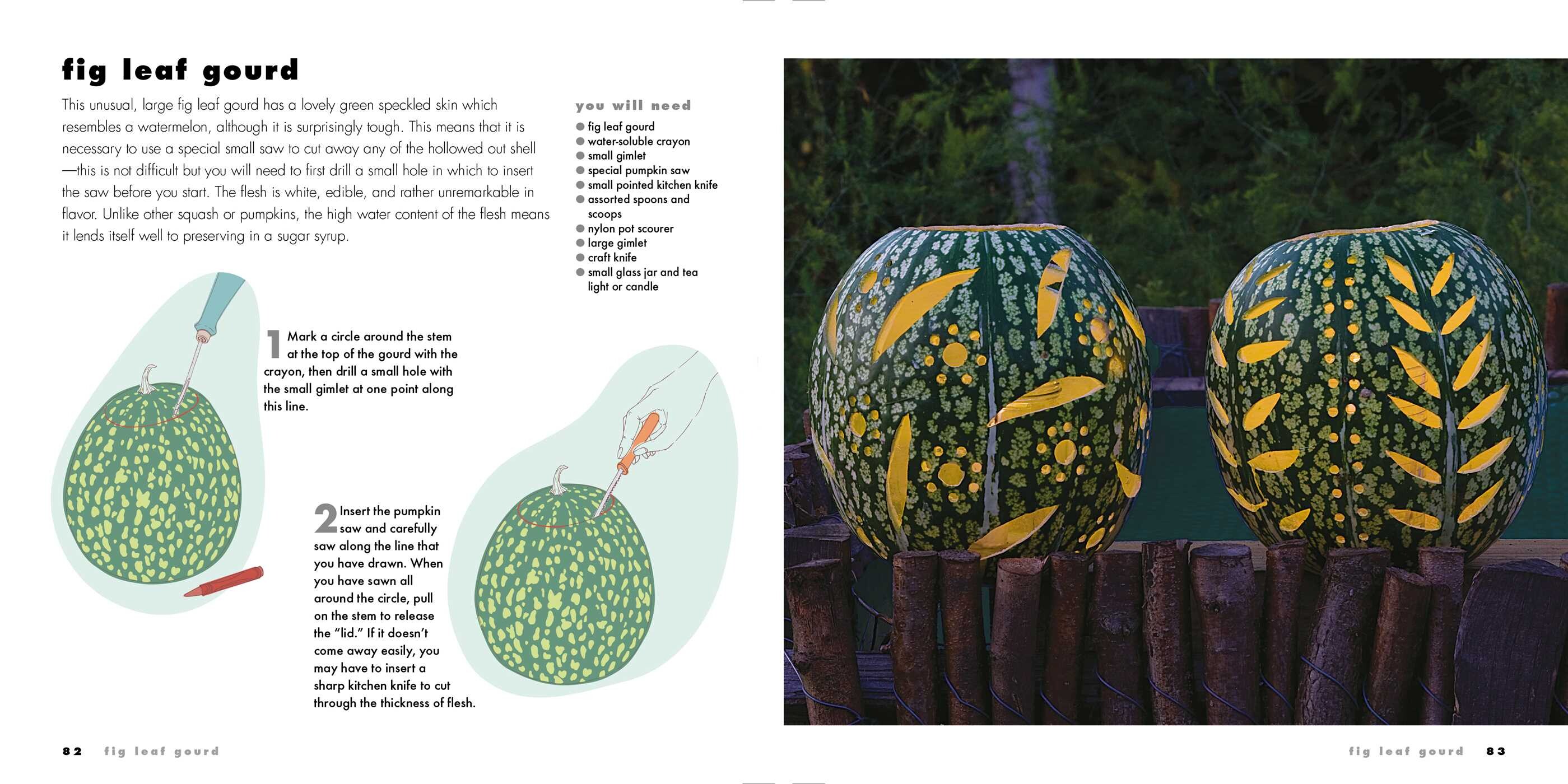 Decorating Pumpkins & Gourds | Book by Deborah Schneebeli-Morrell ...