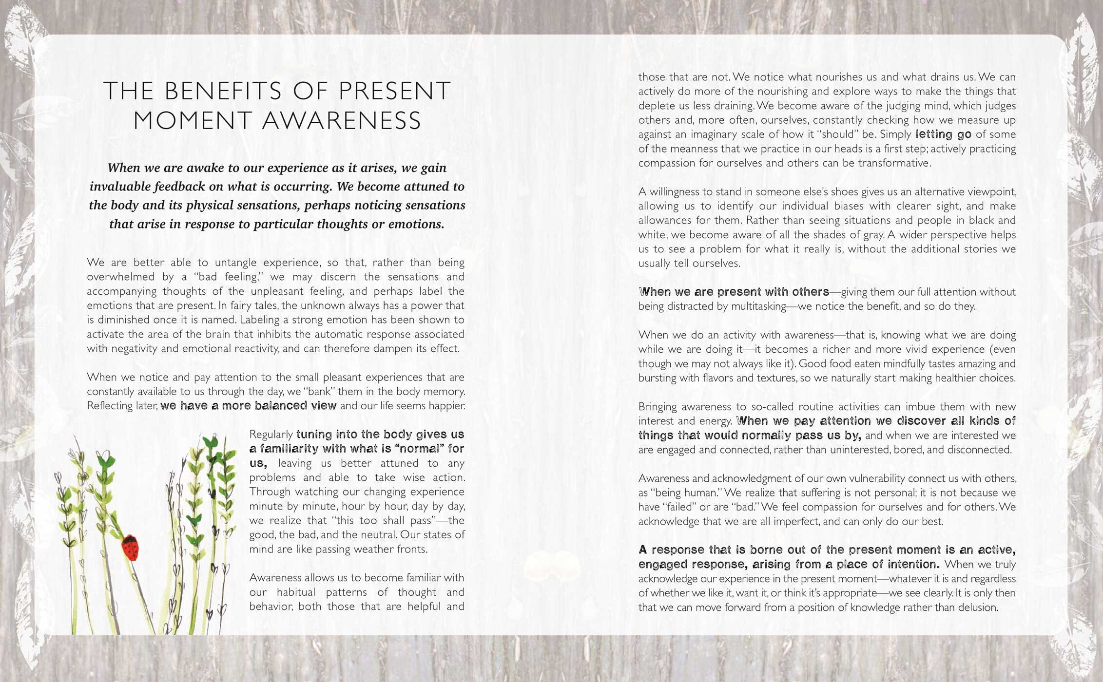 A Year of Living Mindfully | Book by Anna Black | Official Publisher ...