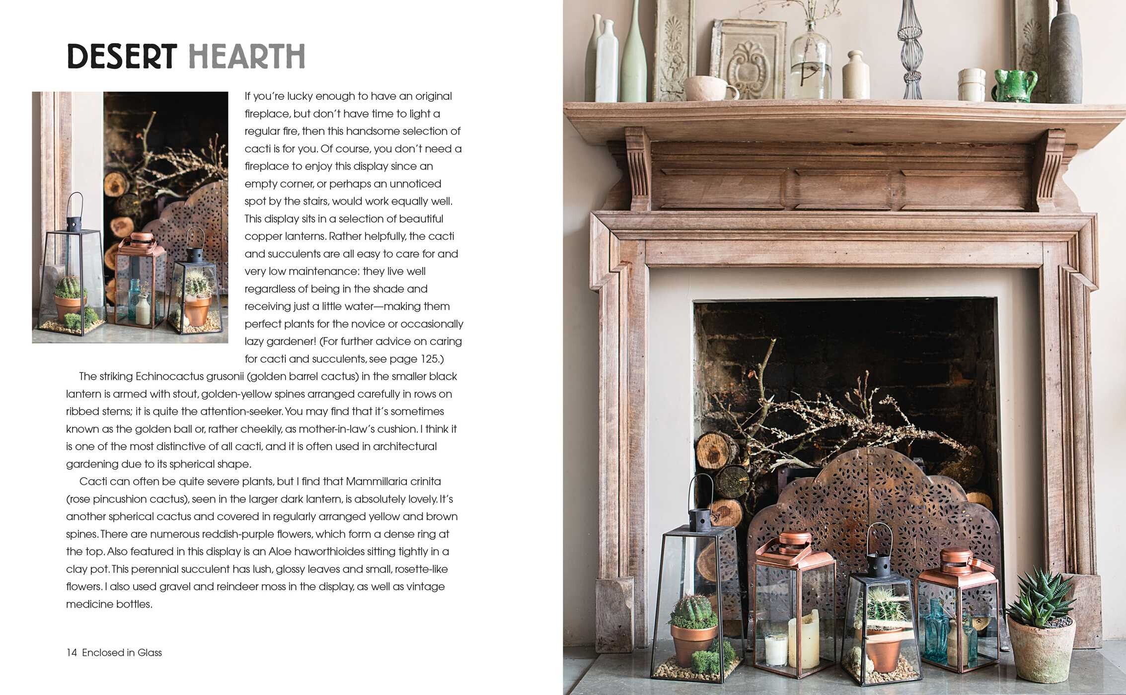 Succulents and All things Under Glass | Book by Isabelle Palmer ...