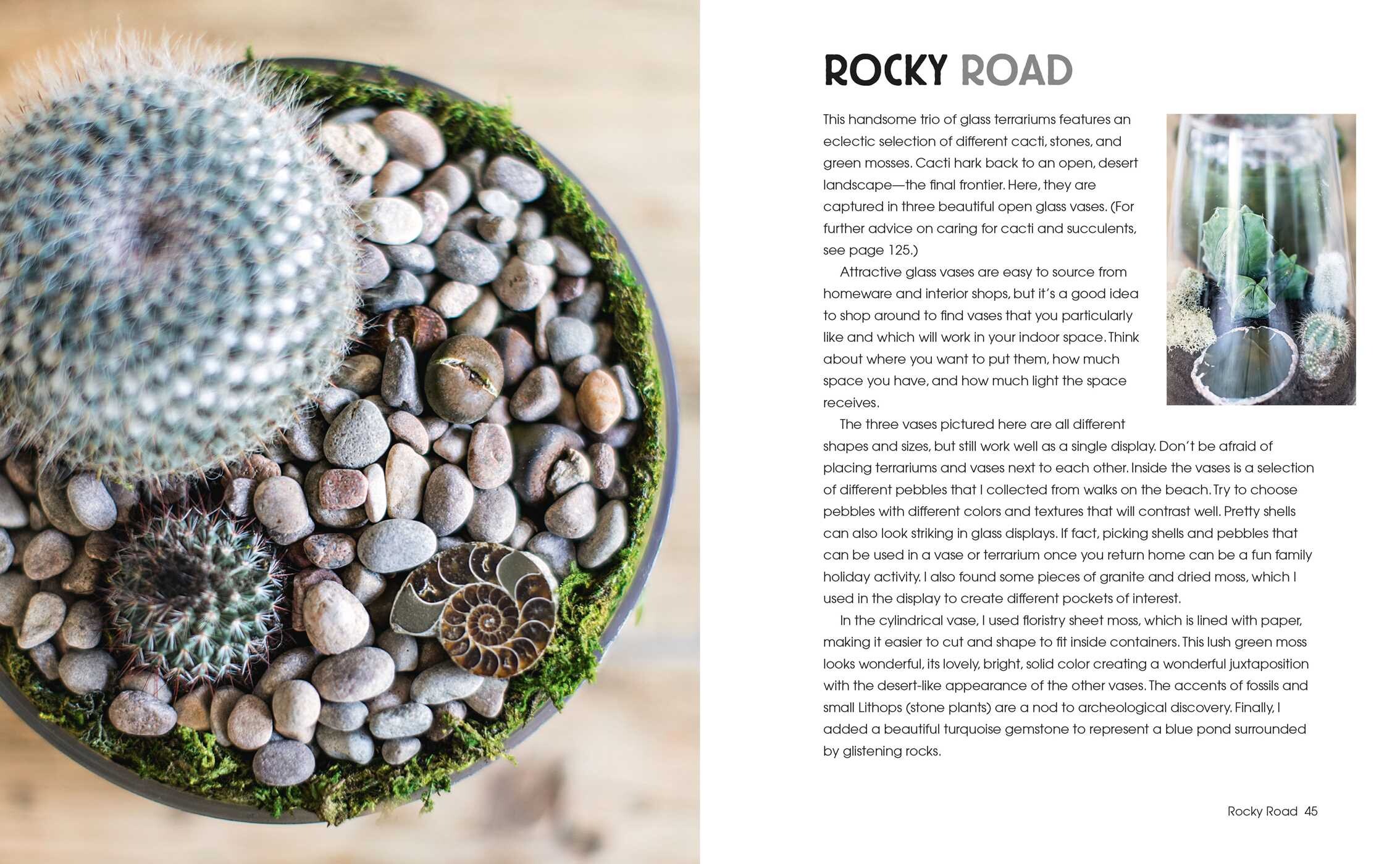 Succulents and All things Under Glass | Book by Isabelle Palmer ...