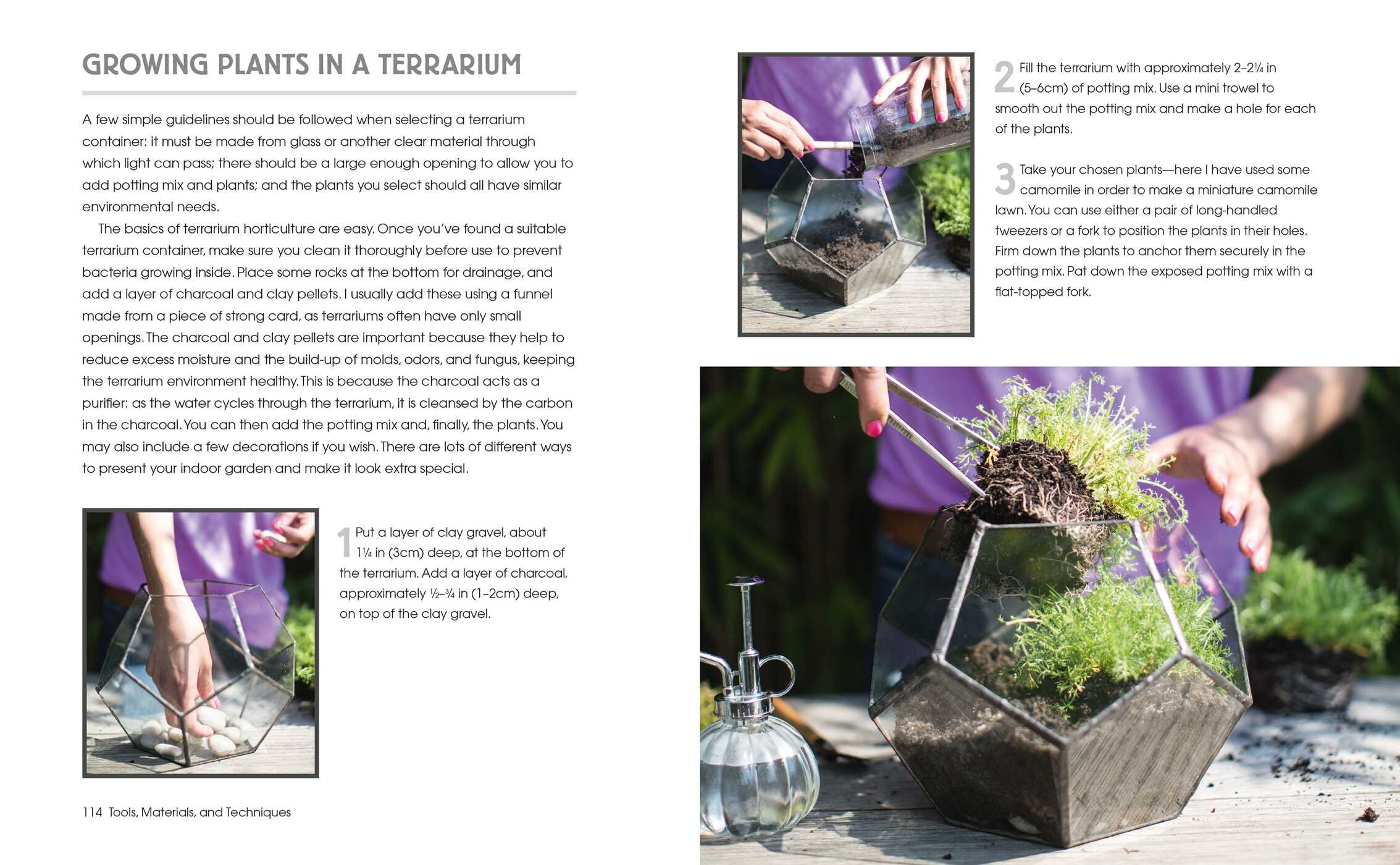 Succulents and All things Under Glass | Book by Isabelle Palmer ...