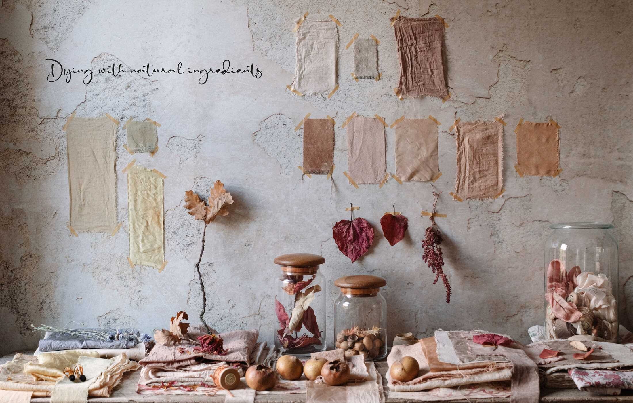 The Flower Hunter | Book by Lucy Hunter | Official Publisher Page ...