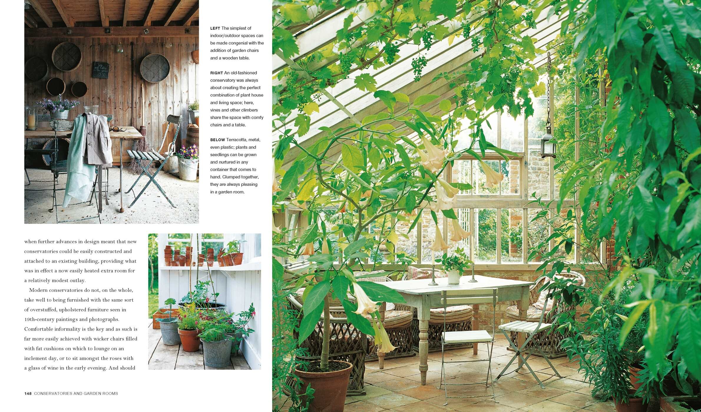 The Comforts of Home | Book by Caroline Clifton Mogg | Official ...