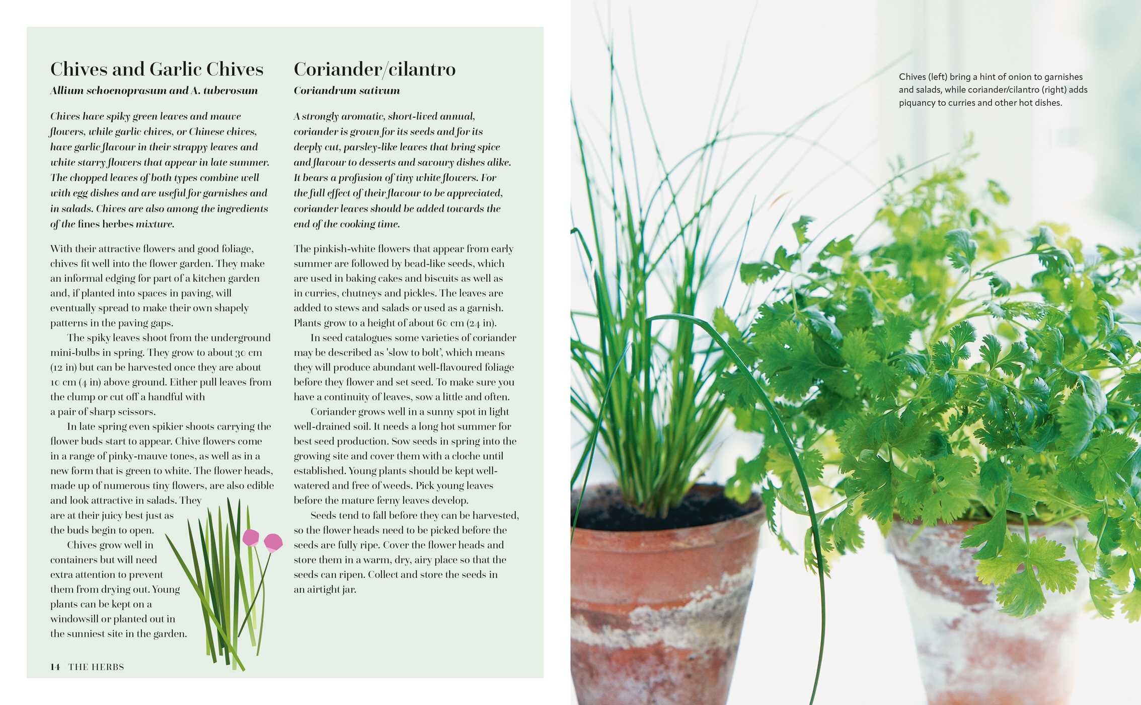 The Herb Kitchen | Book by Ryland Peters & Small | Official Publisher ...