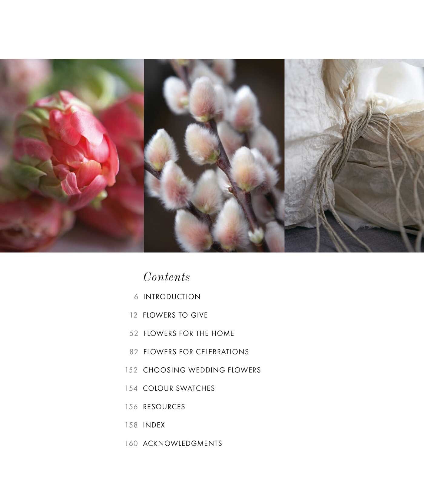 Jane Packer's Flower Course | Book by Jane Packer | Official Publisher ...