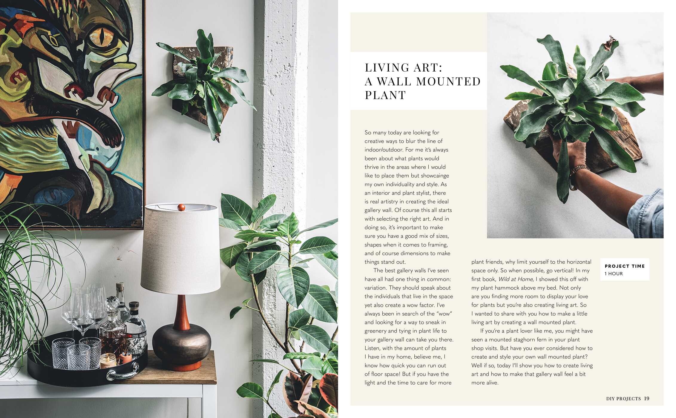 Wild Creations | Book by Hilton Carter | Official Publisher Page ...