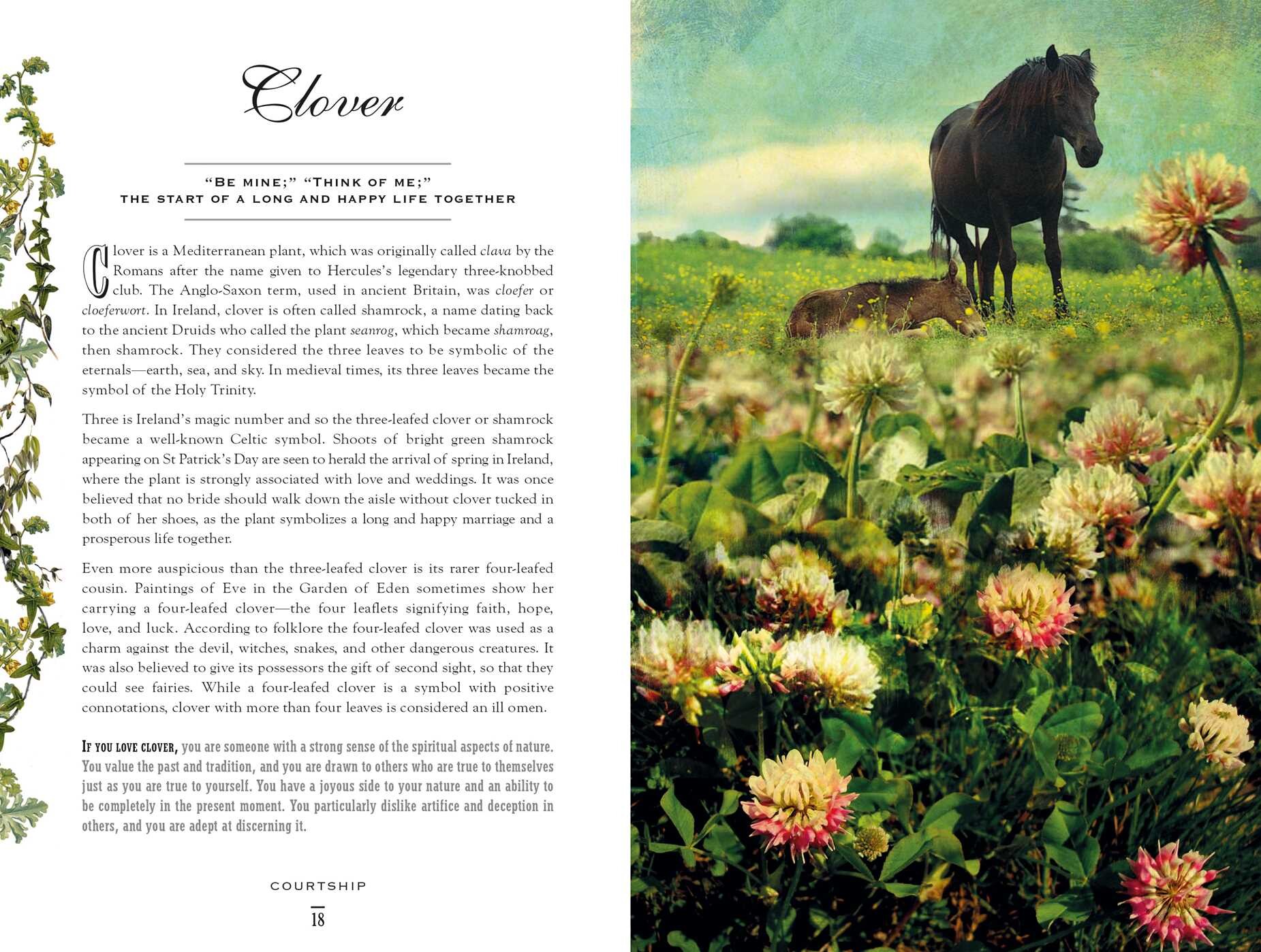 The Secret Language of Flowers | Book by Samantha Gray | Official ...