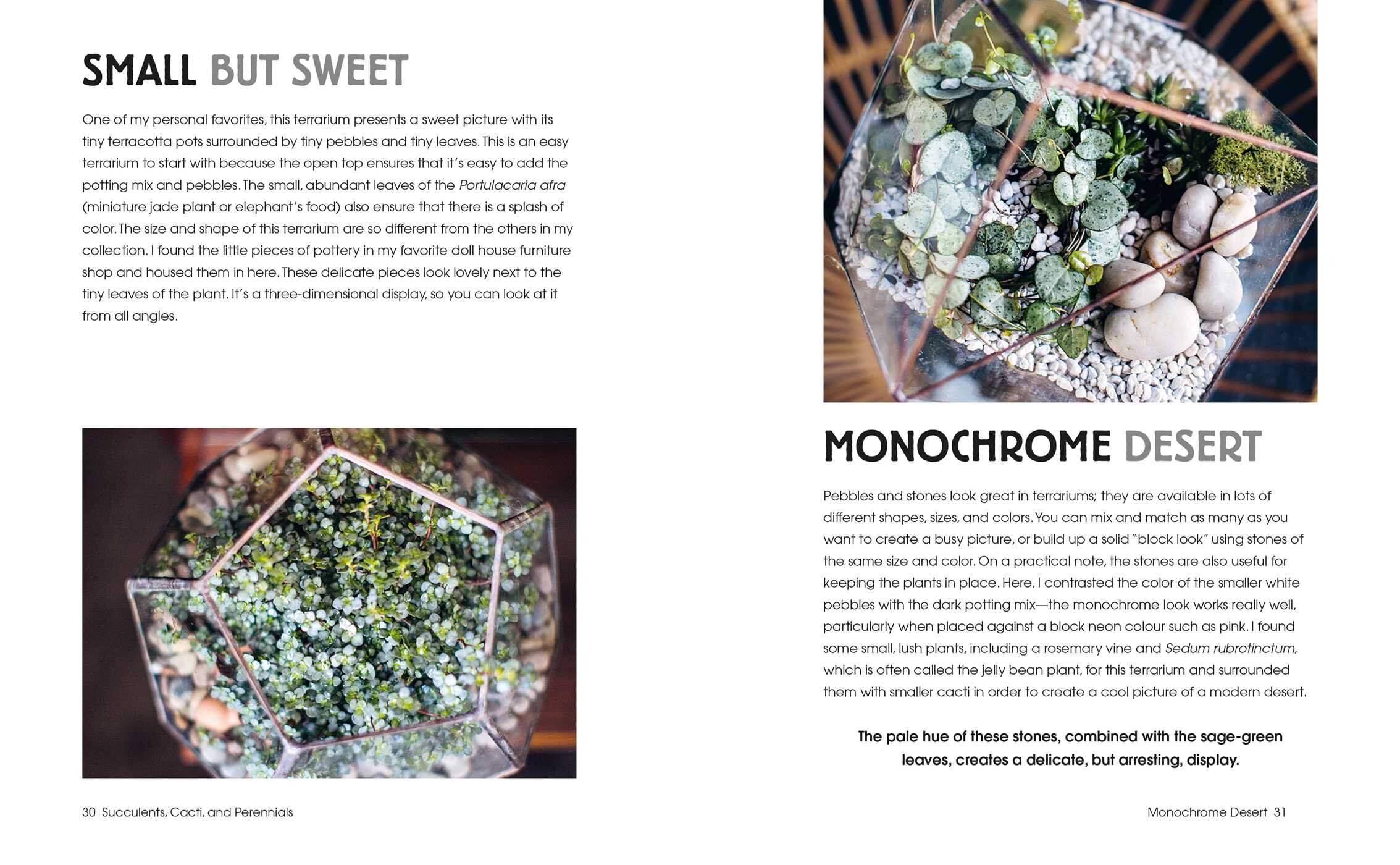 Terrarium Imaginarium | Book by Isabelle Palmer | Official Publisher ...