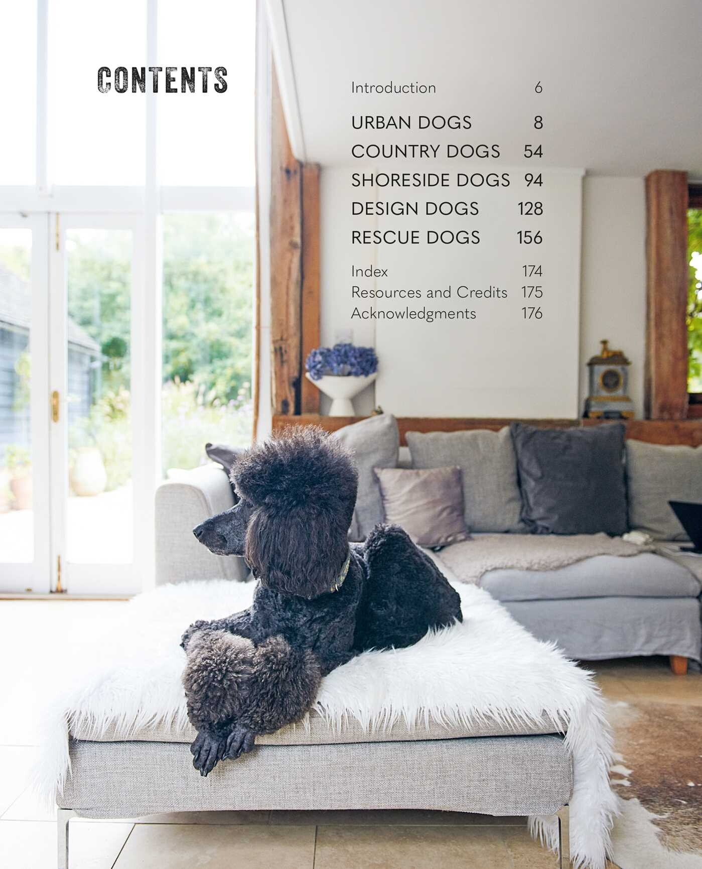 Cool Dogs, Cool Homes | Book by Geraldine James | Official Publisher ...