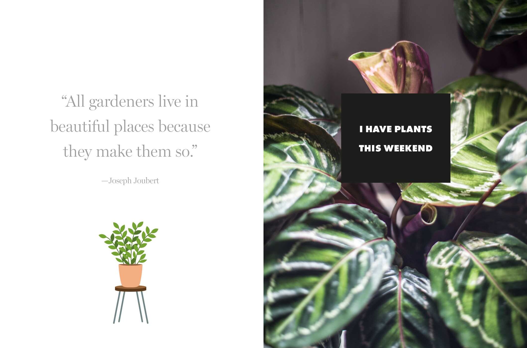Happy Houseplants | Book by Isabelle Palmer | Official Publisher Page ...