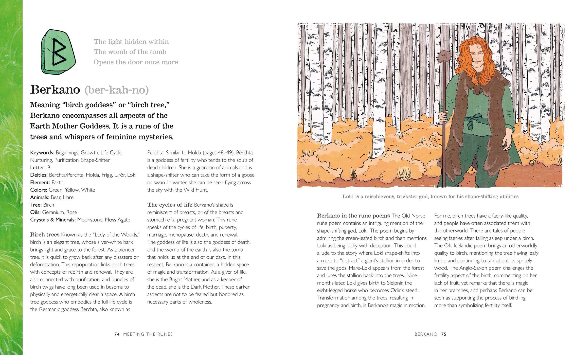 A Guide to Reading the Runes | Book by Laura Daligan | Official ...