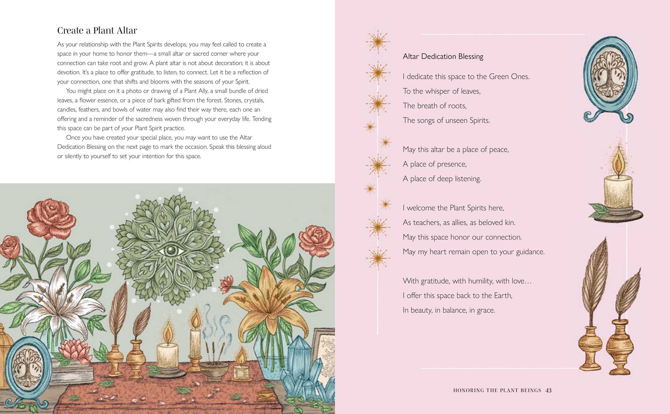Plant Spirit Wisdom | Book by Karine Gordineer | Official Publisher ...