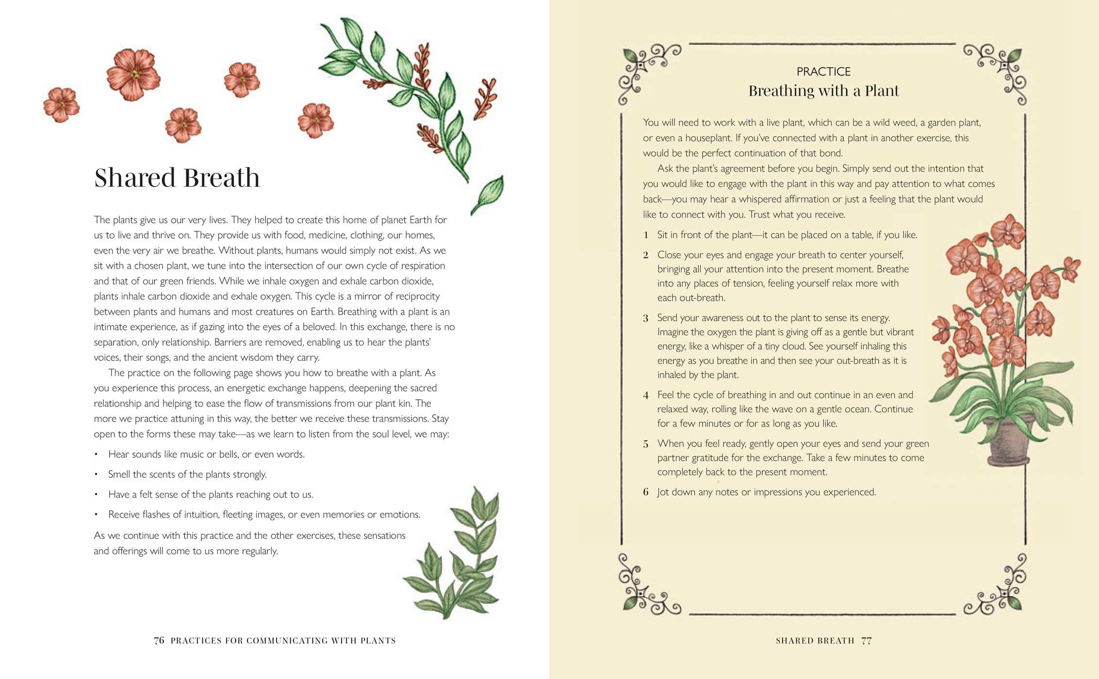 Plant Spirit Wisdom | Book by Karine Gordineer | Official Publisher ...