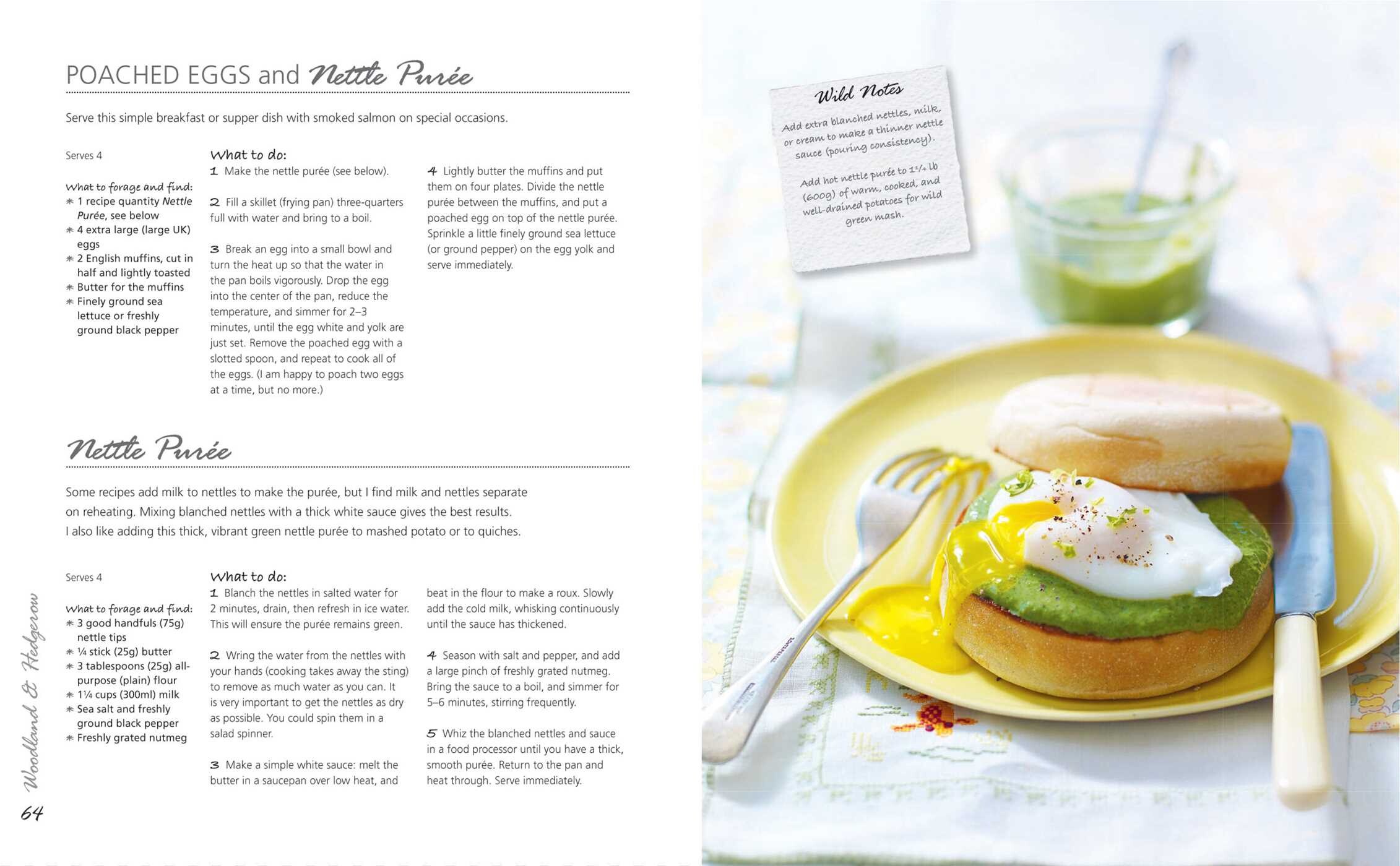 The Forager's Kitchen Handbook | Book by Fiona Bird | Official ...