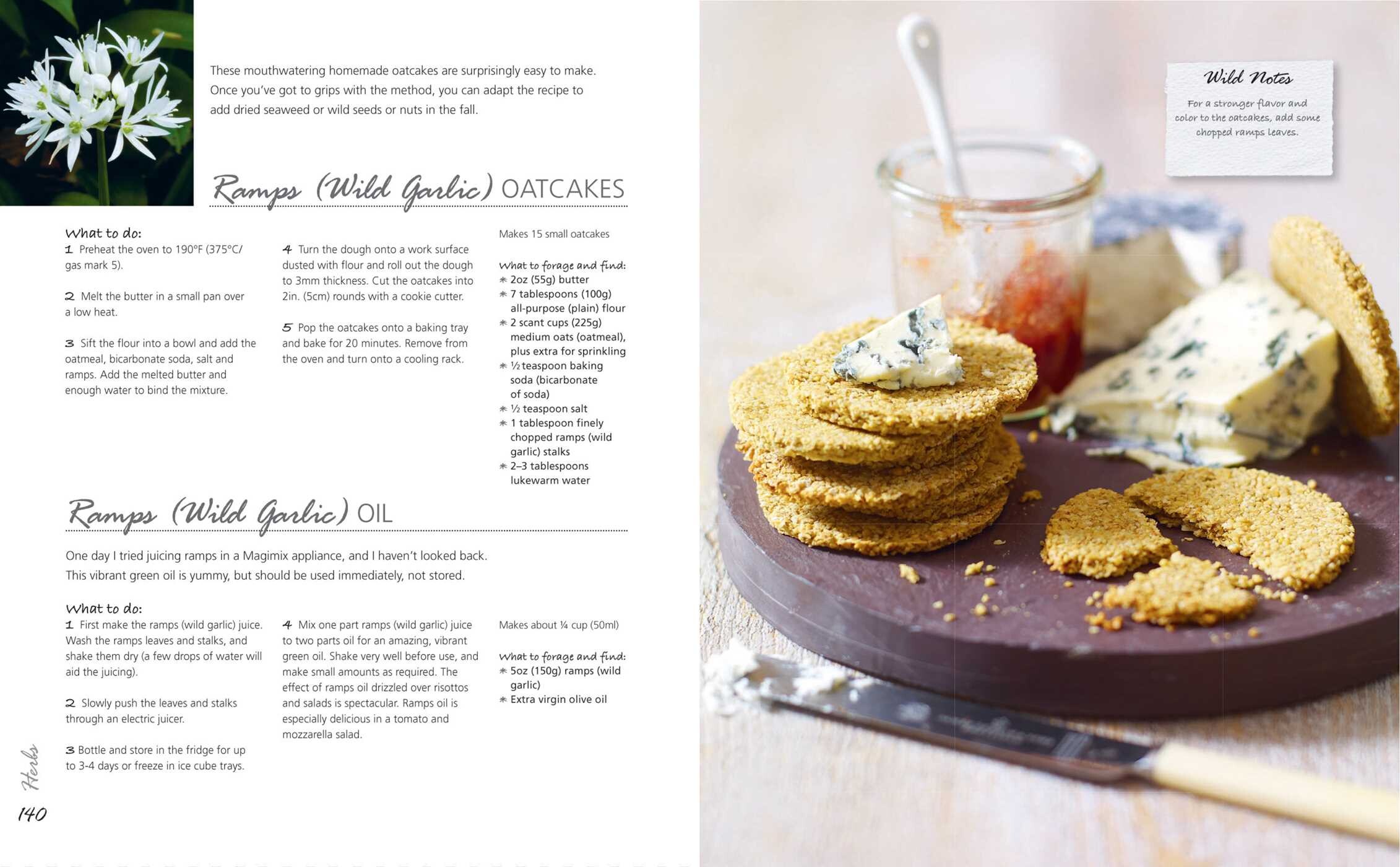 The Forager's Kitchen Handbook | Book by Fiona Bird | Official ...