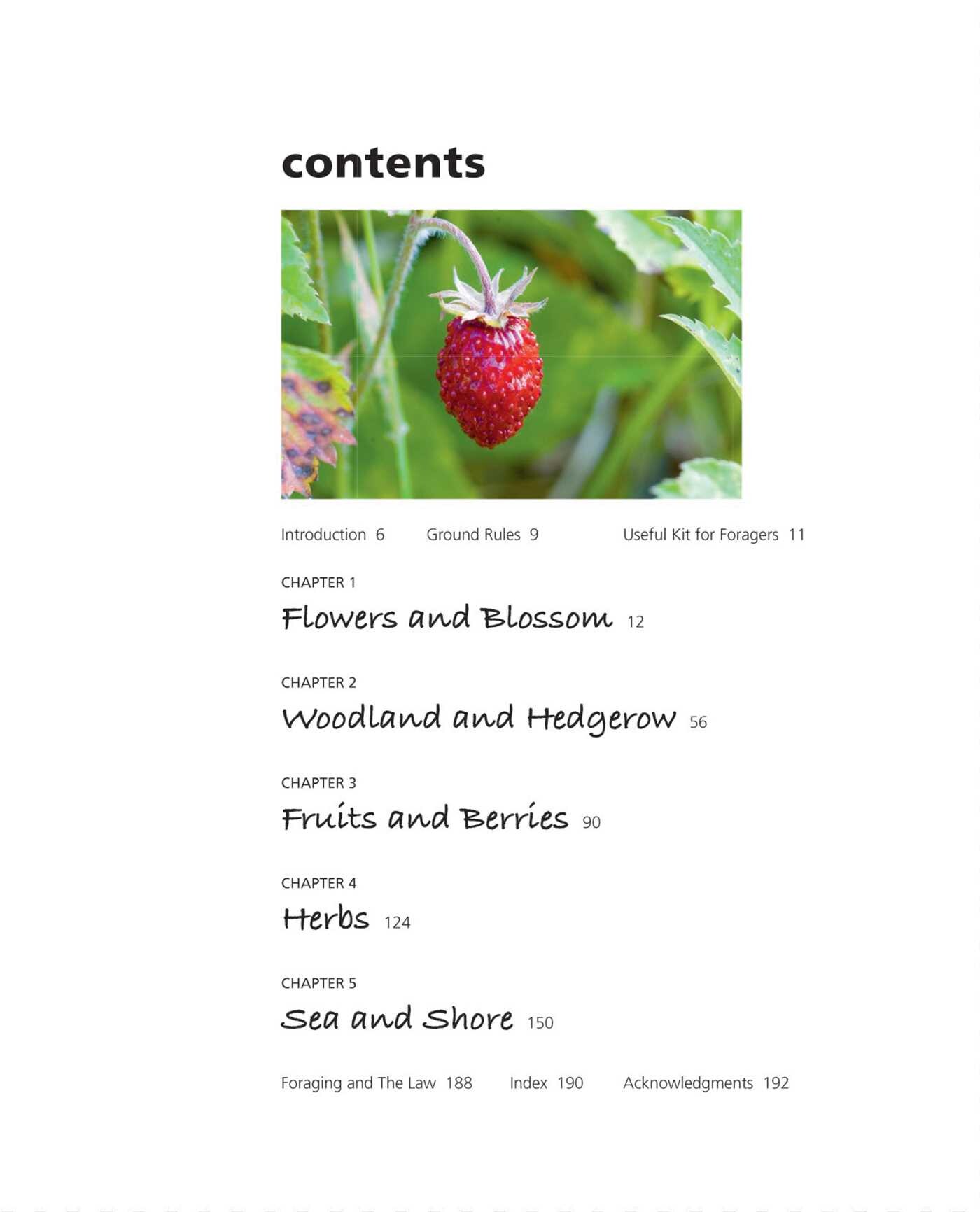 The Forager's Kitchen Handbook | Book by Fiona Bird | Official ...