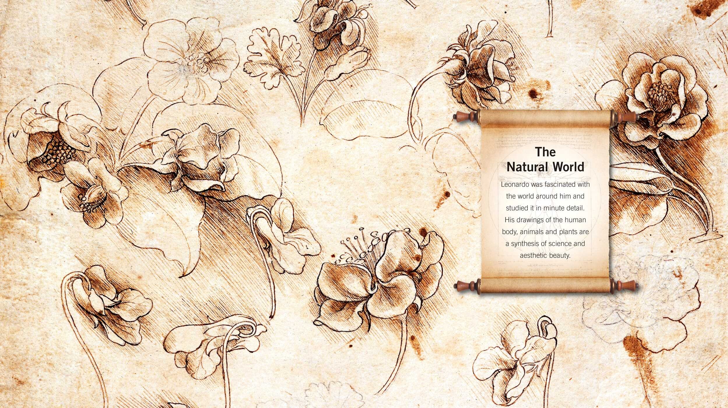 Leonardo da Vinci Drawings Masterpieces of Art | Book by Susan Grange ...