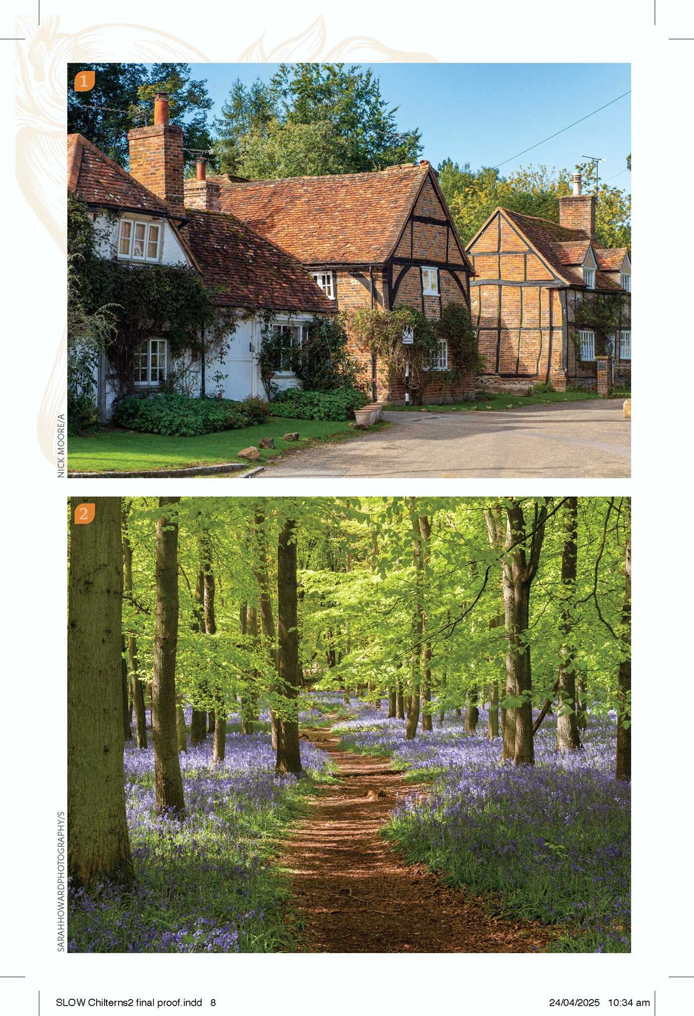 The Chilterns and the Thames Valley | Book by Helen Matthews, Neil ...